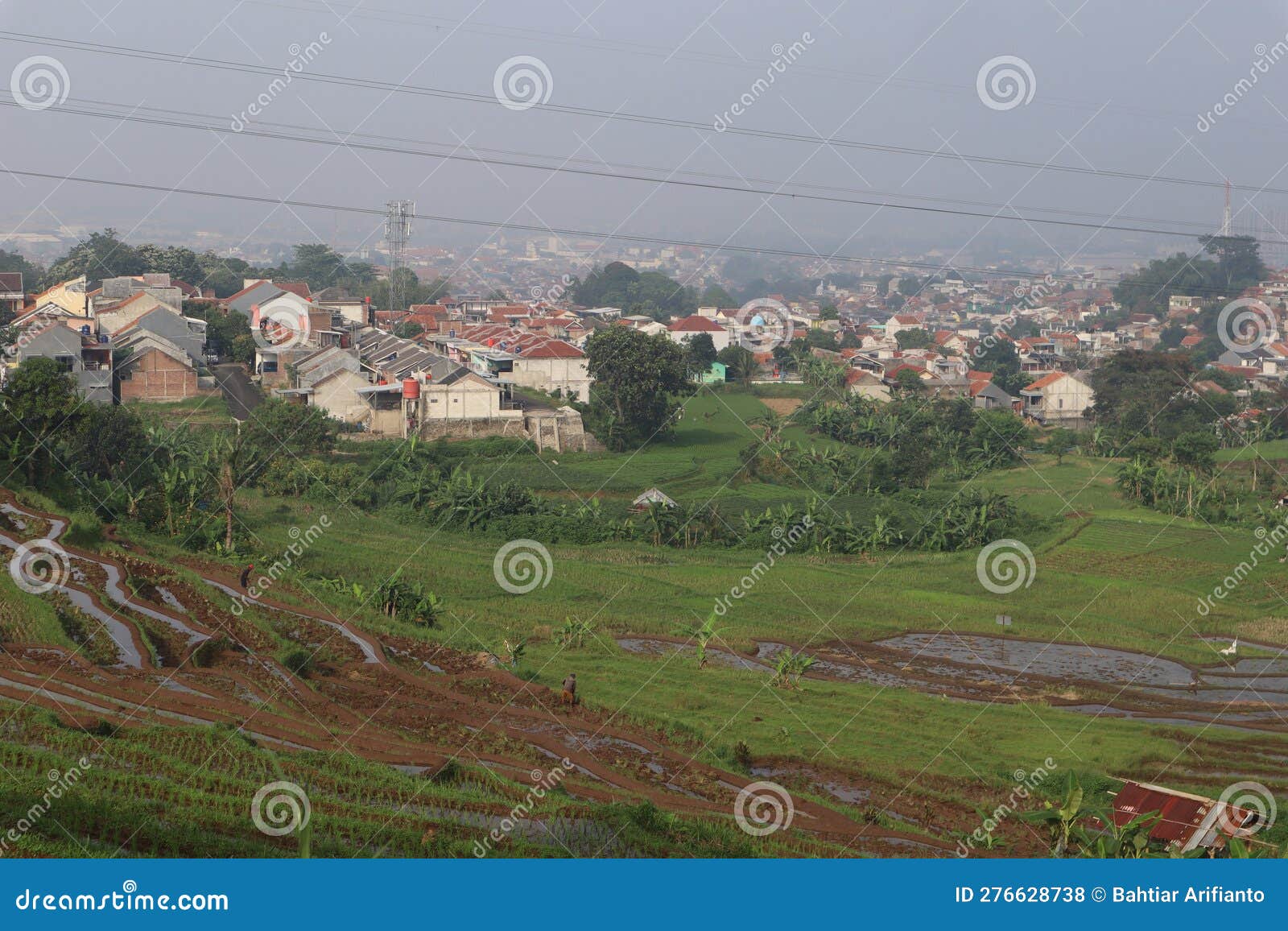 Agricultural Land with Terracing Stock Photo - Image of flower ...
