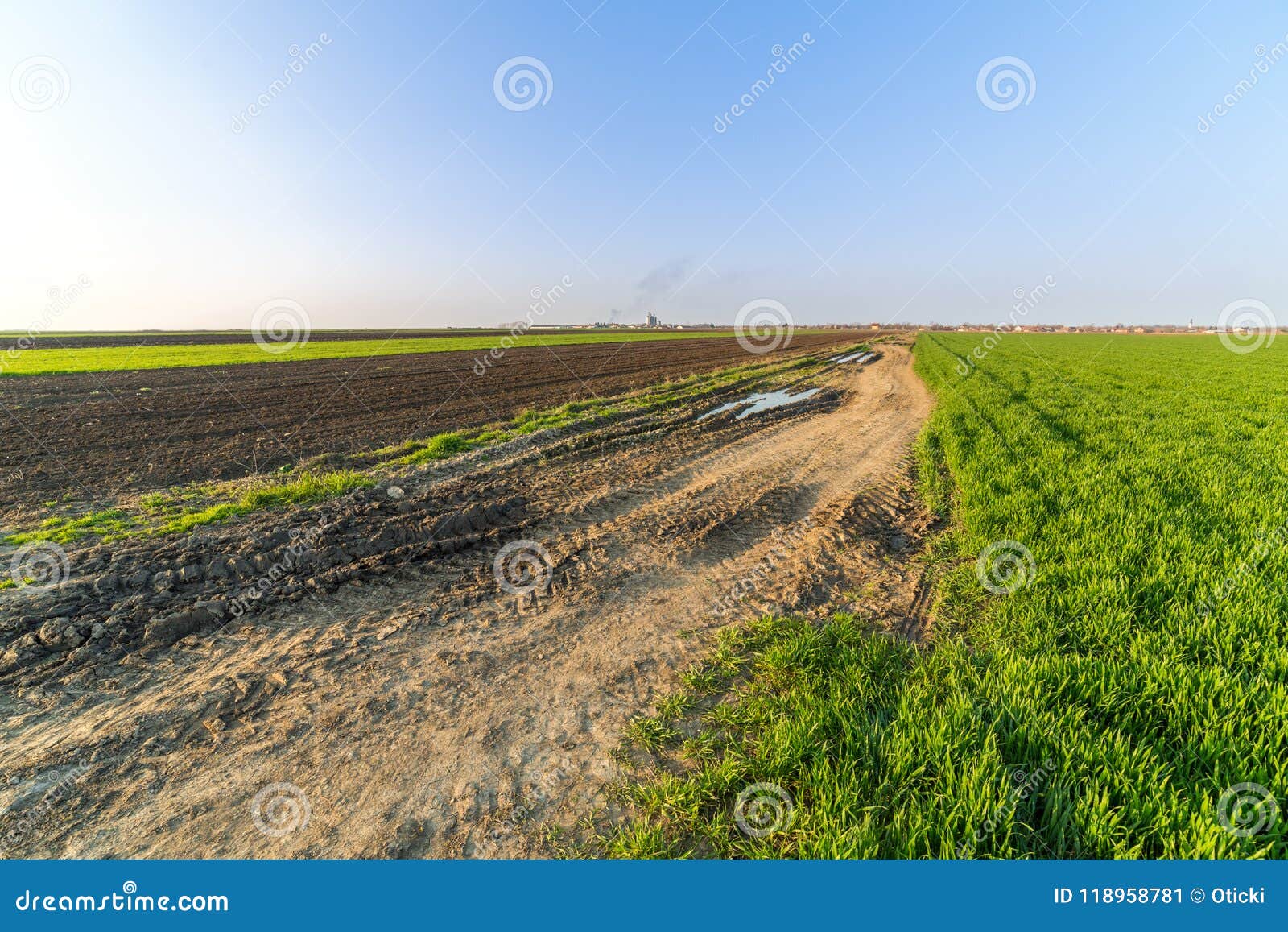 Agricultural Landsaple, Arable Crop Field Stock Image - Image of ...