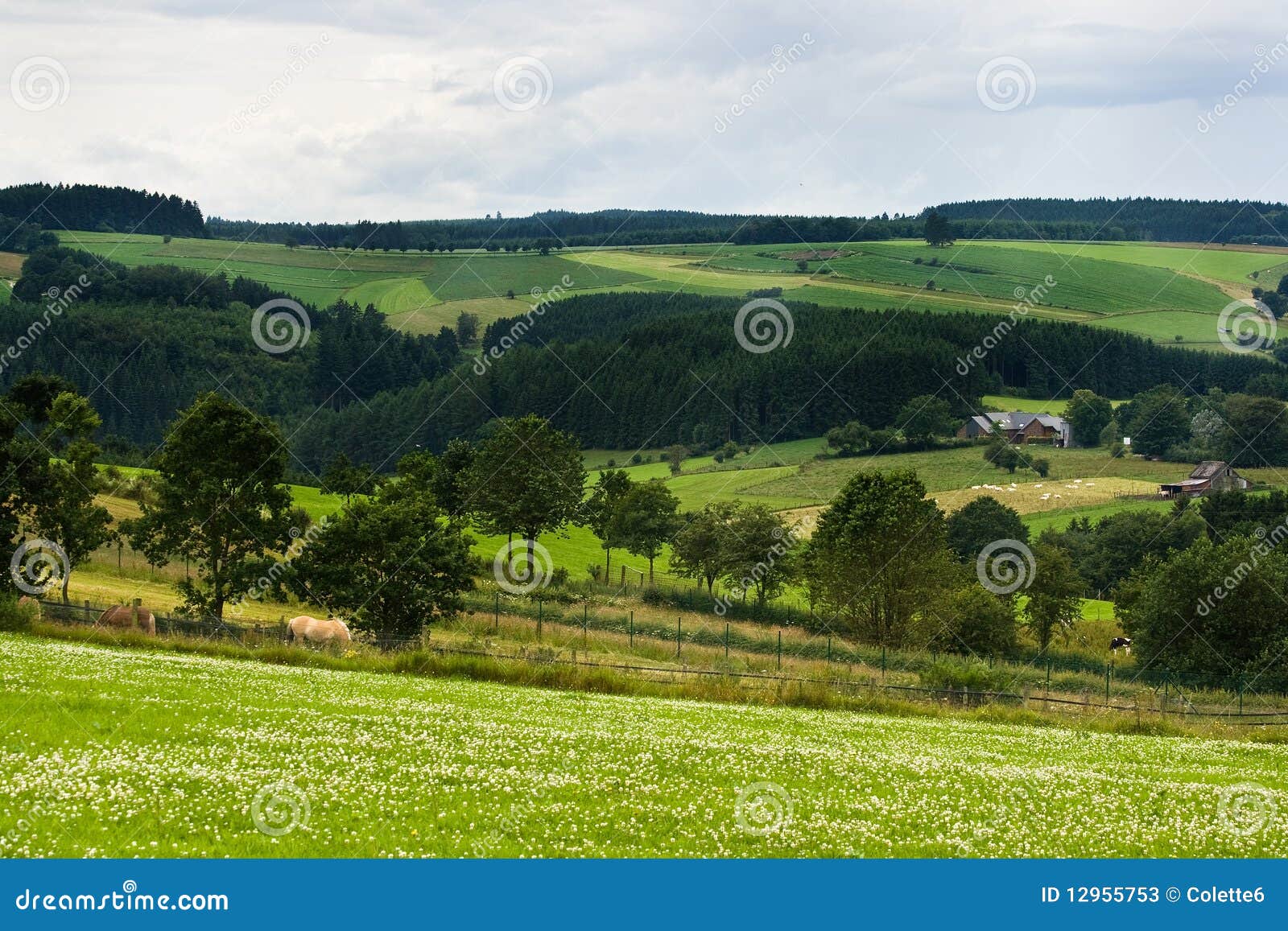 Agricultural landscape stock image. Image of country - 12955753