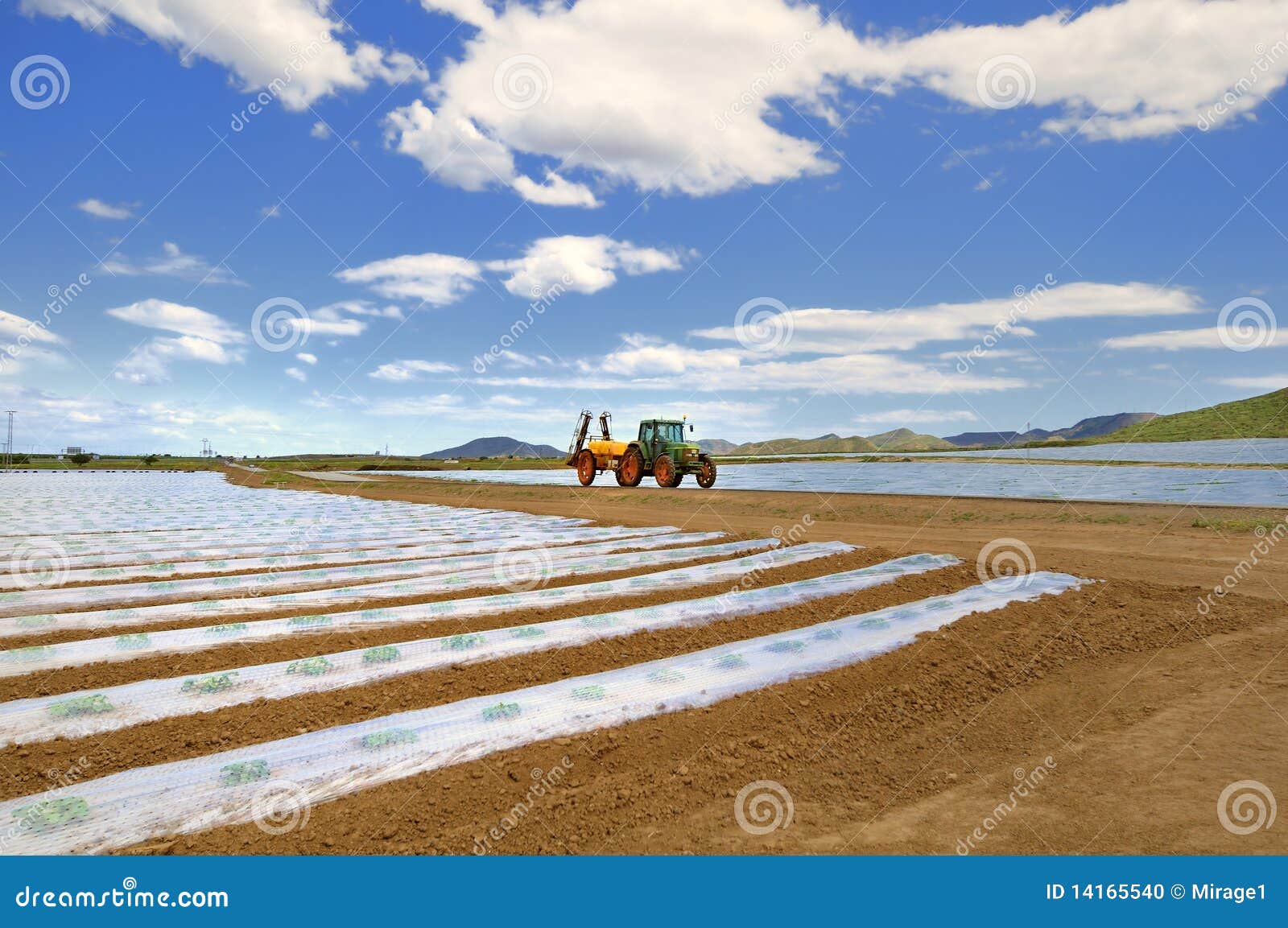 Agricultural Landscape stock photo. Image of agriculture - 14165540