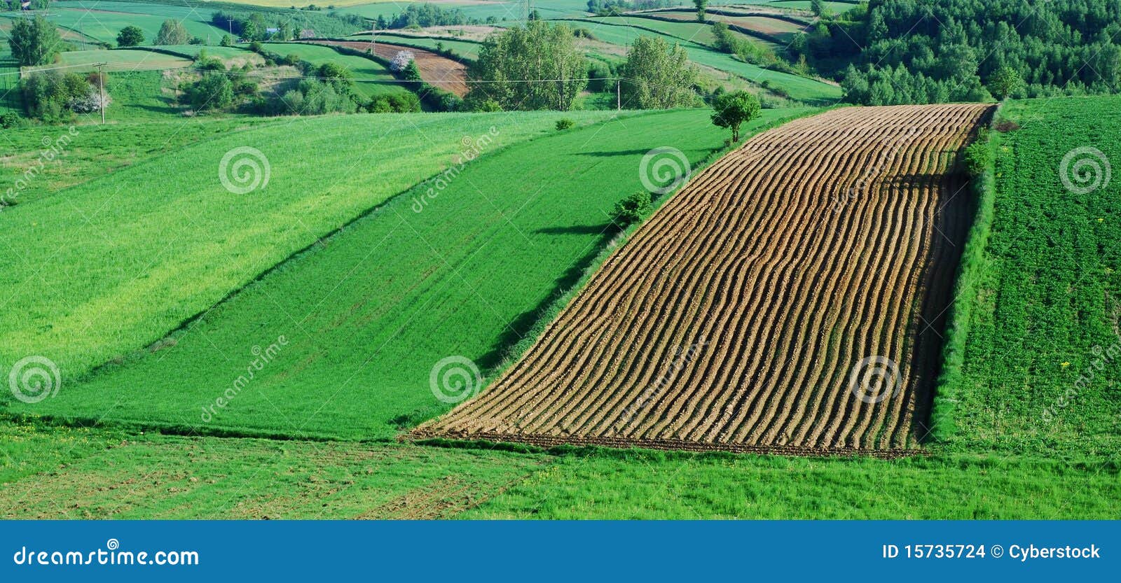 Agricultural landscape stock photo. Image of outdoor - 15735724