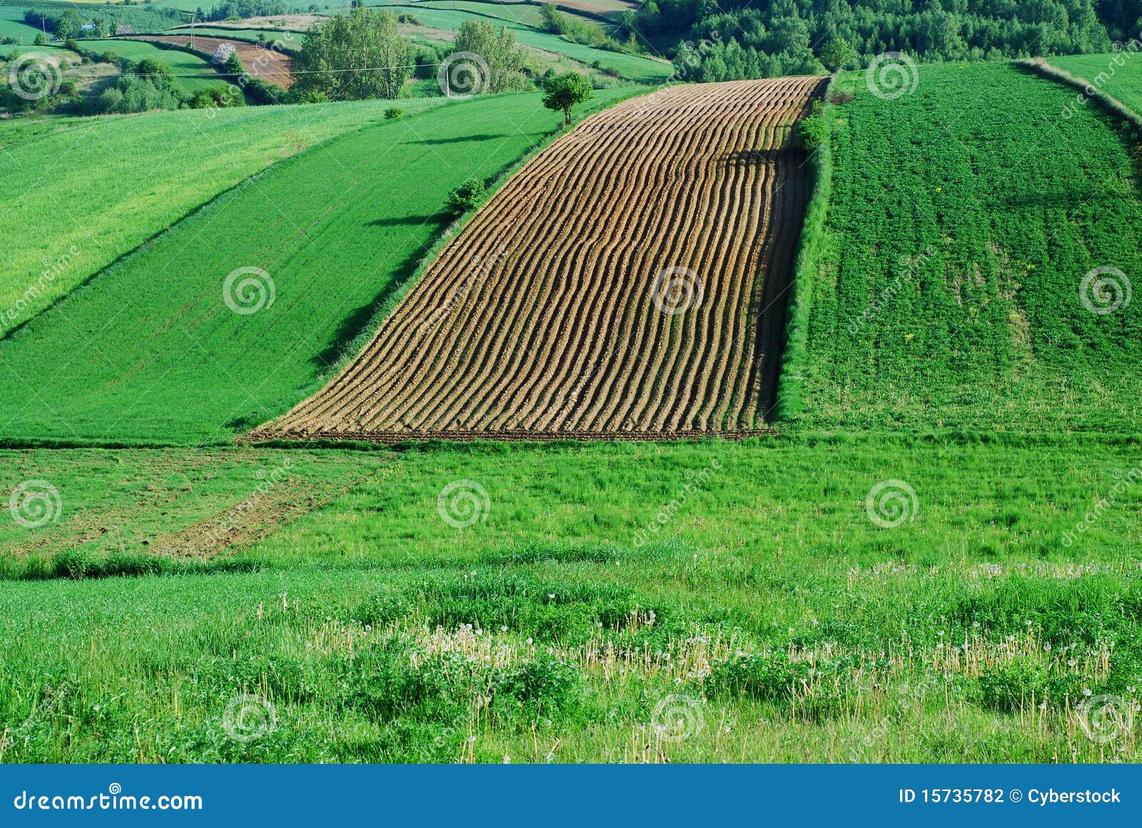 Agricultural landscape stock photo. Image of nature, rural - 15735782