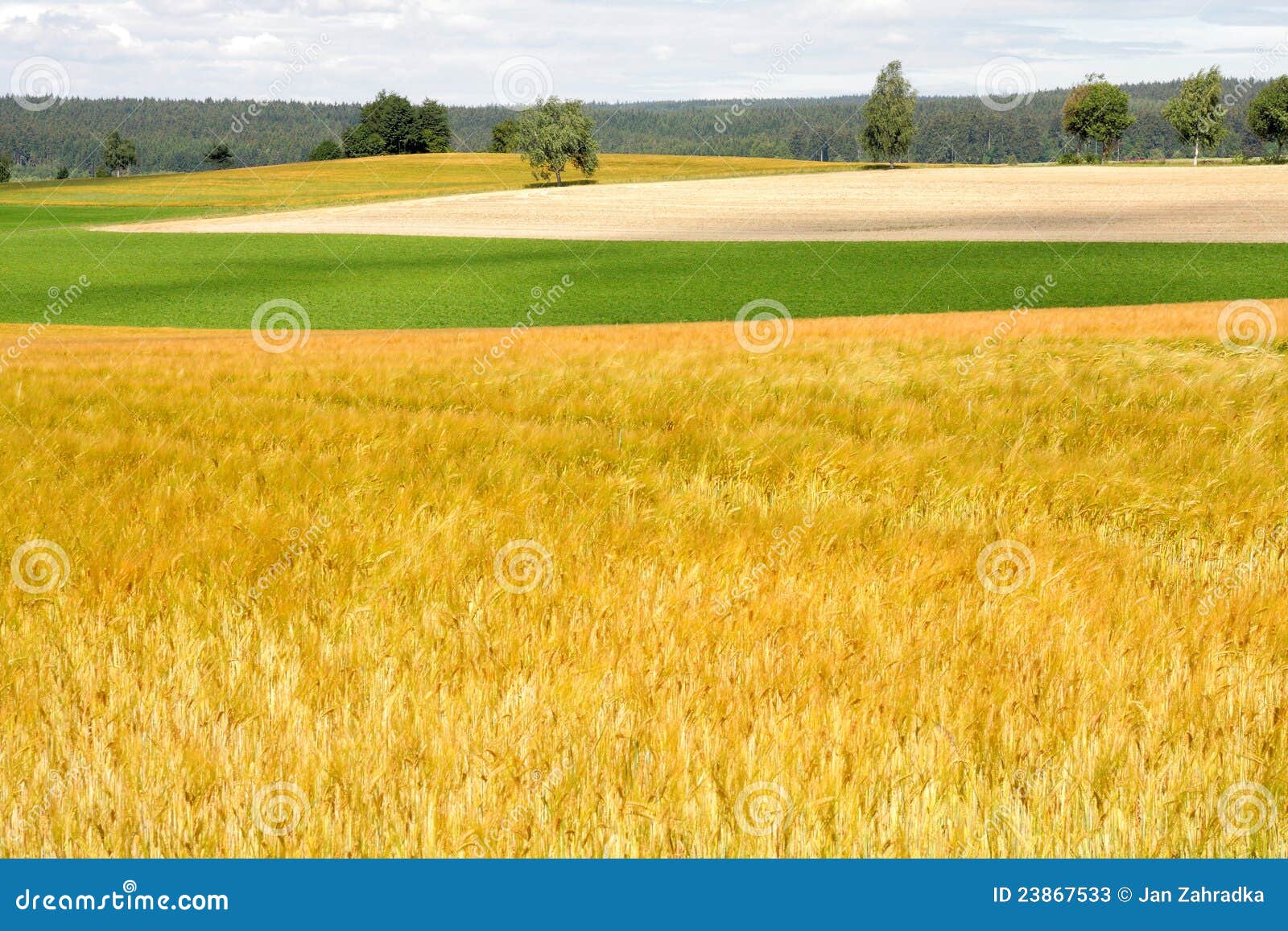 Agricultural landscape stock image. Image of meadow, trees - 23867533