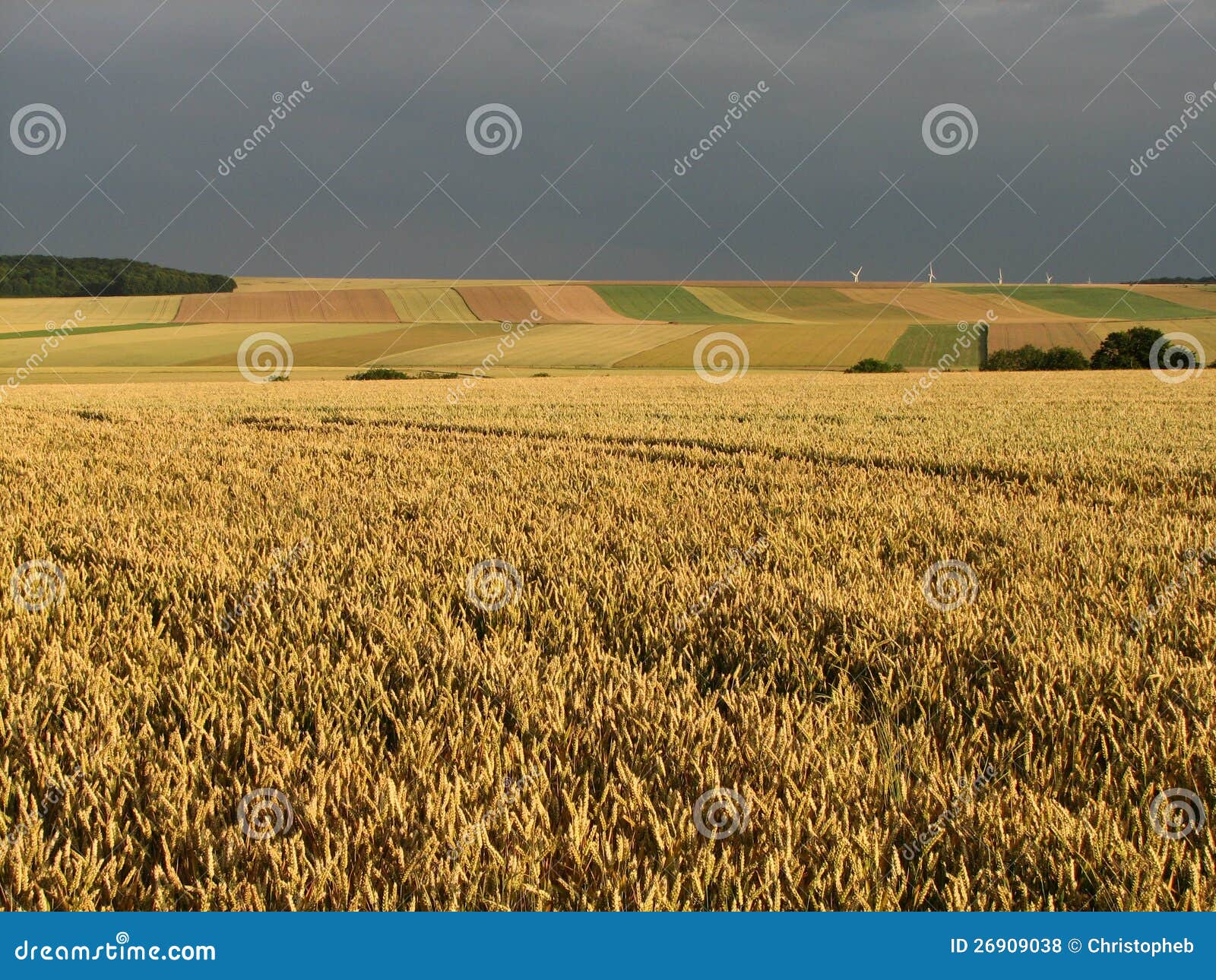 Agricultural landscape stock photo. Image of peasant - 26909038