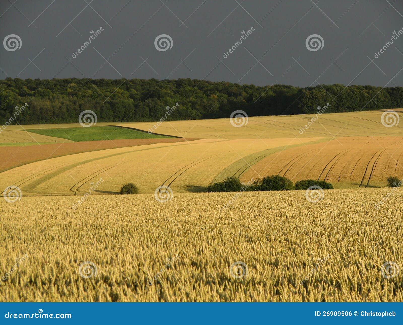 Agricultural landscape stock photo. Image of production - 26909506