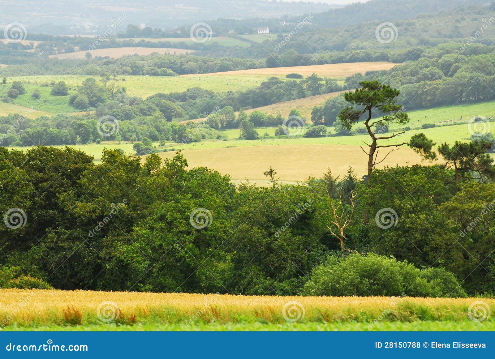 Agricultural Landscape Royalty Free Stock Photos - Image: 28150788
