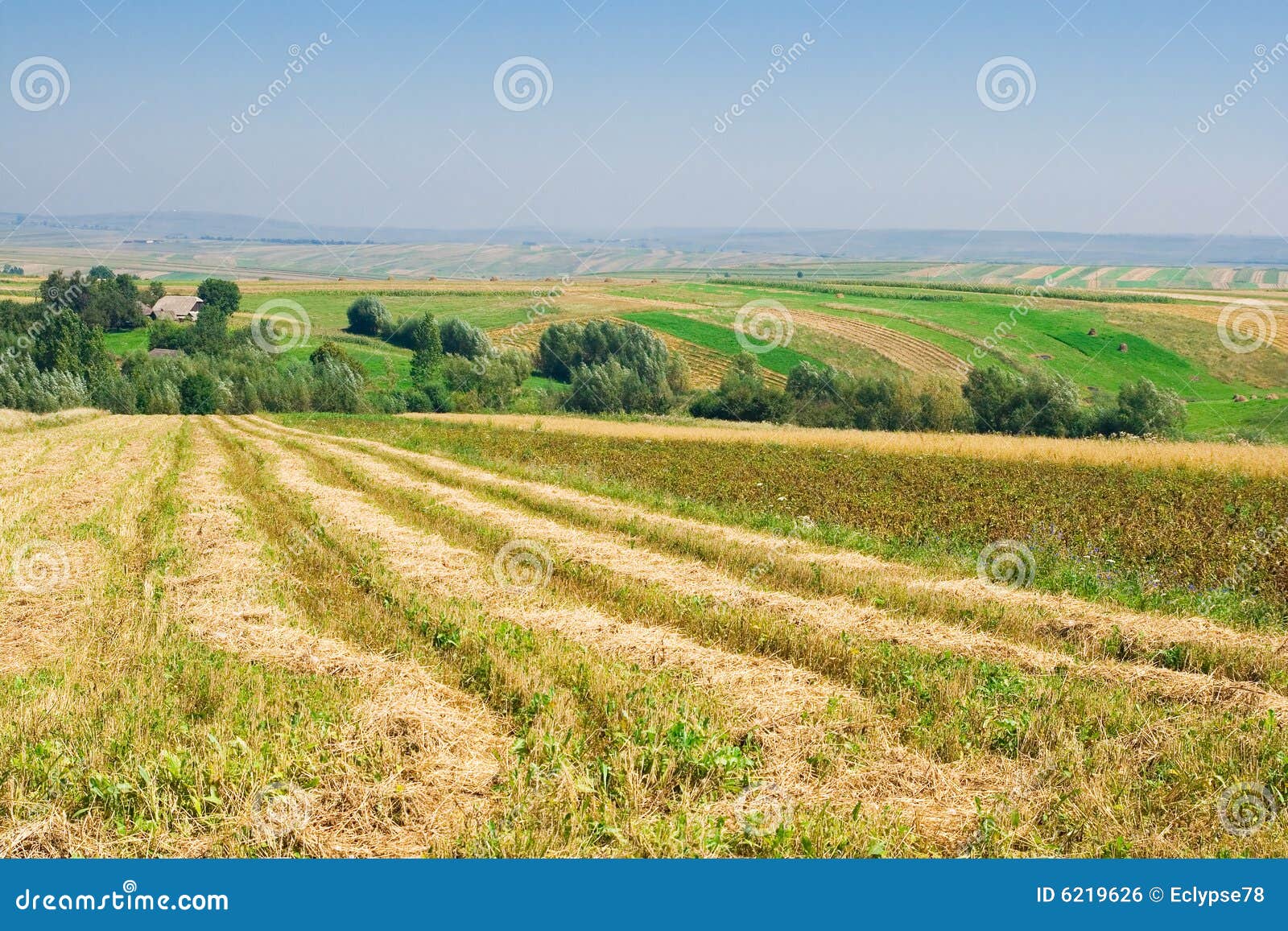 Agricultural landscape stock photo. Image of crop, nature - 6219626