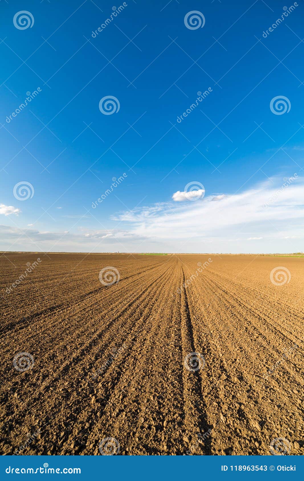 Agricultural Landscape, Arable Crop Field Stock Image - Image of field ...