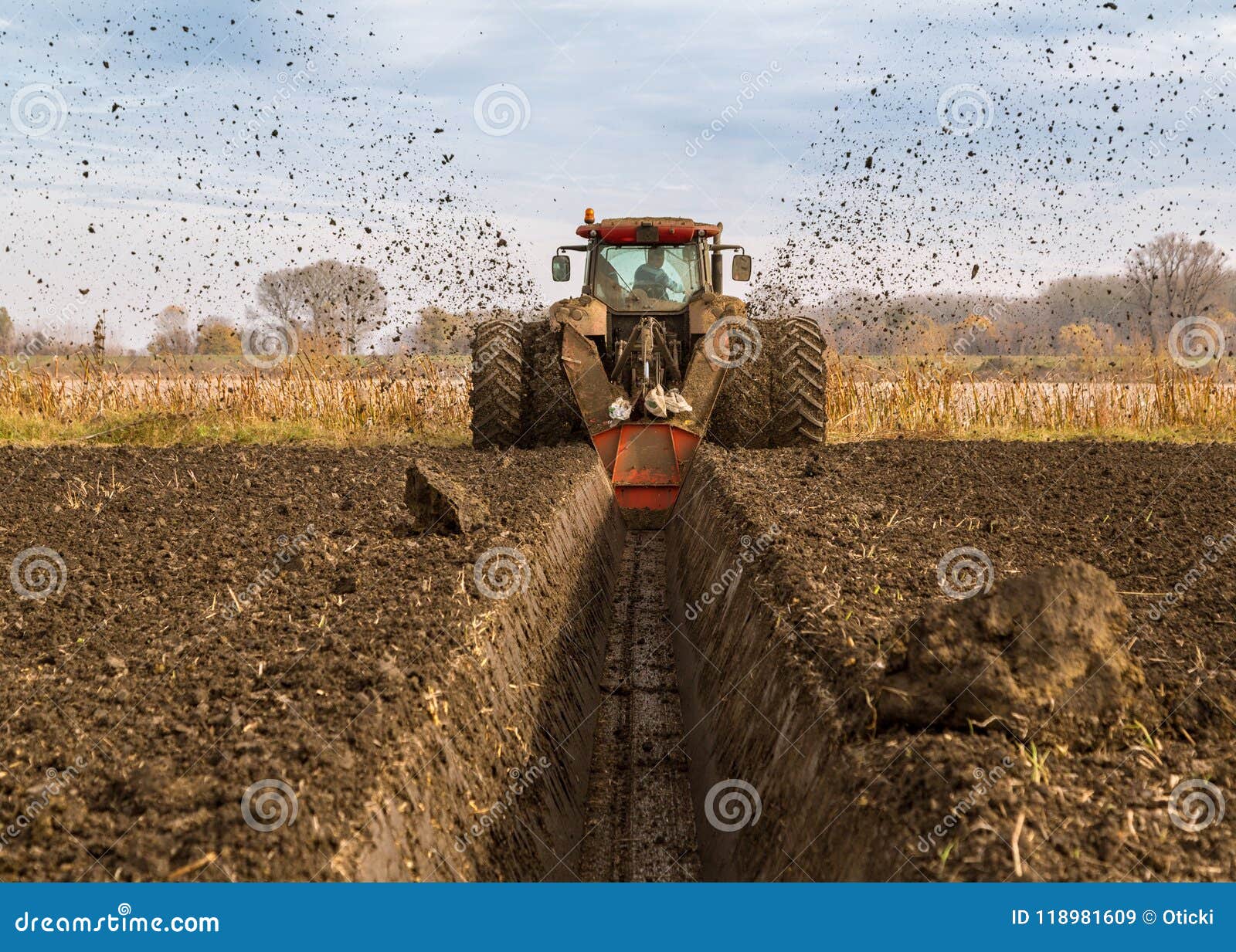 Agricultural Landscape, Arable Crop Field Stock Image - Image of crop ...