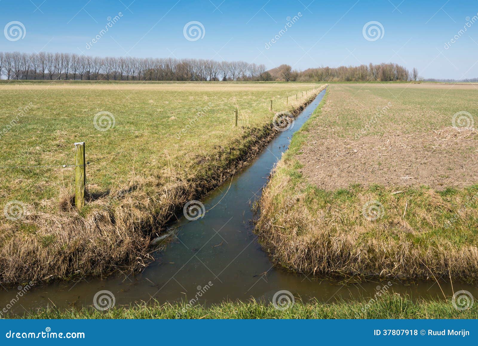 Agricultural Landscape Divided by a Narrow Stream Stock Photo - Image ...