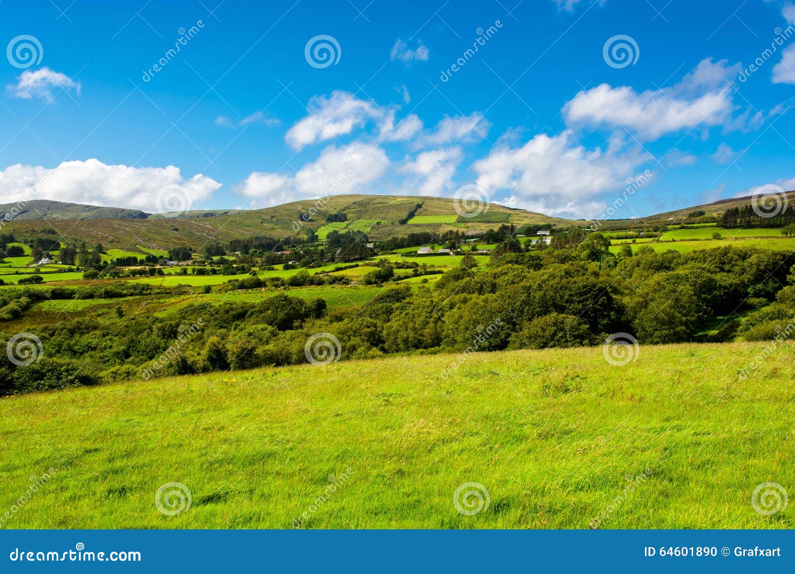 Agricultural Landscape in Ireland Stock Photo - Image of peaceful ...