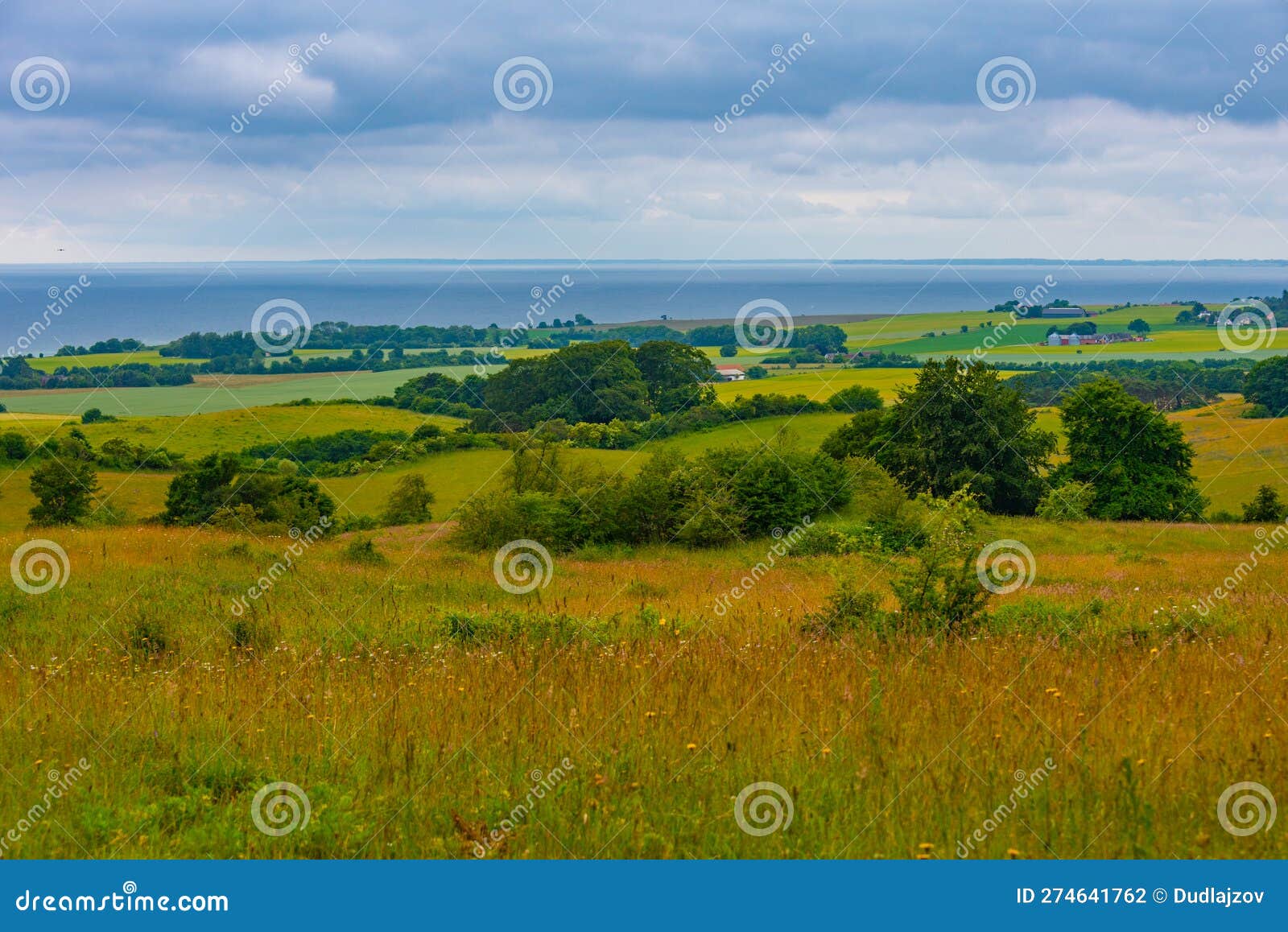 Agricultural Landscape of Mon Island at Denmark Stock Photo - Image of ...