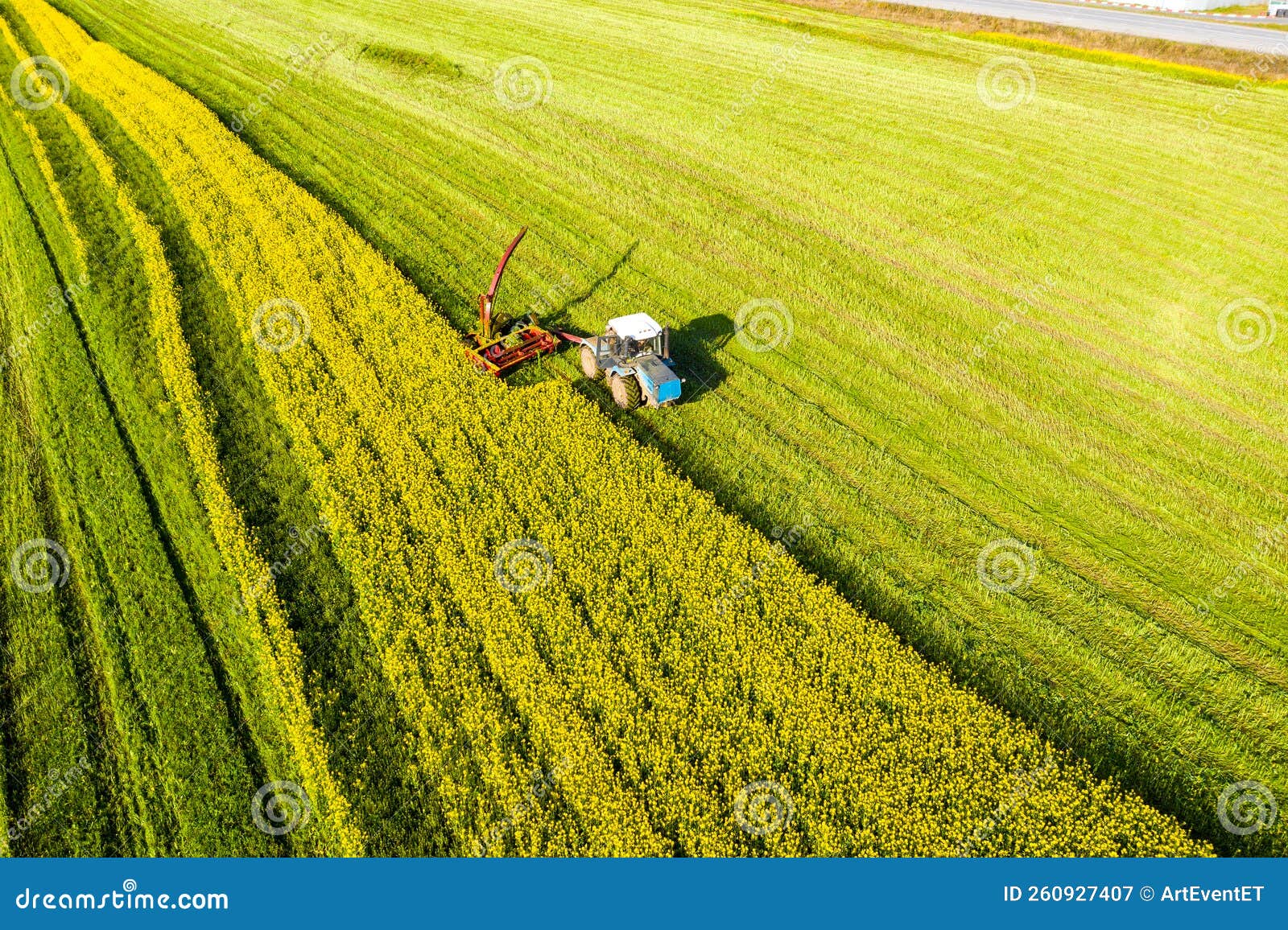 Agricultural Machinery during the Harvest of Rapeseed Stock Image ...