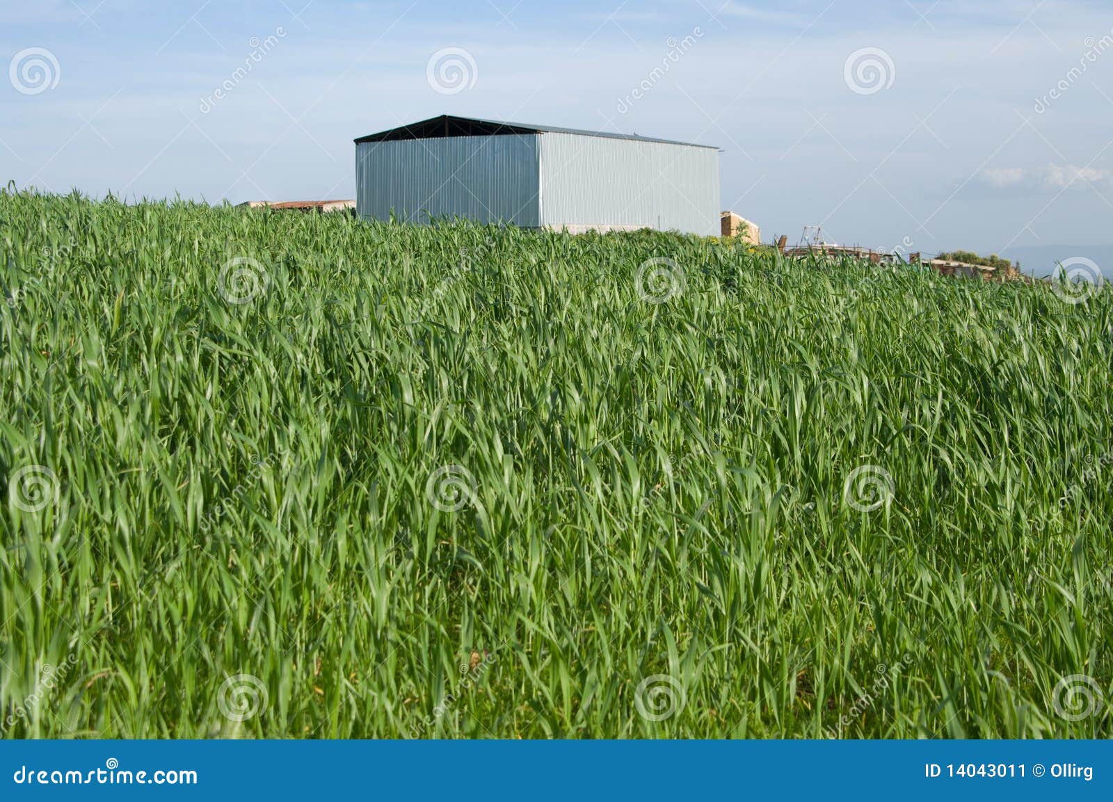 Agricultural Modern Building Stock Image - Image of farm, field: 14043011