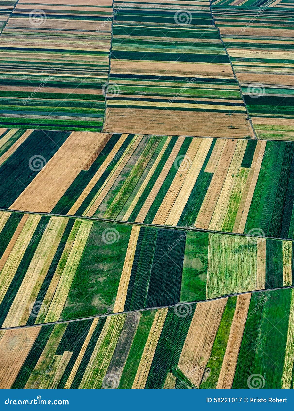 Agricultural Fields. stock image. Image of geometric - 58221017