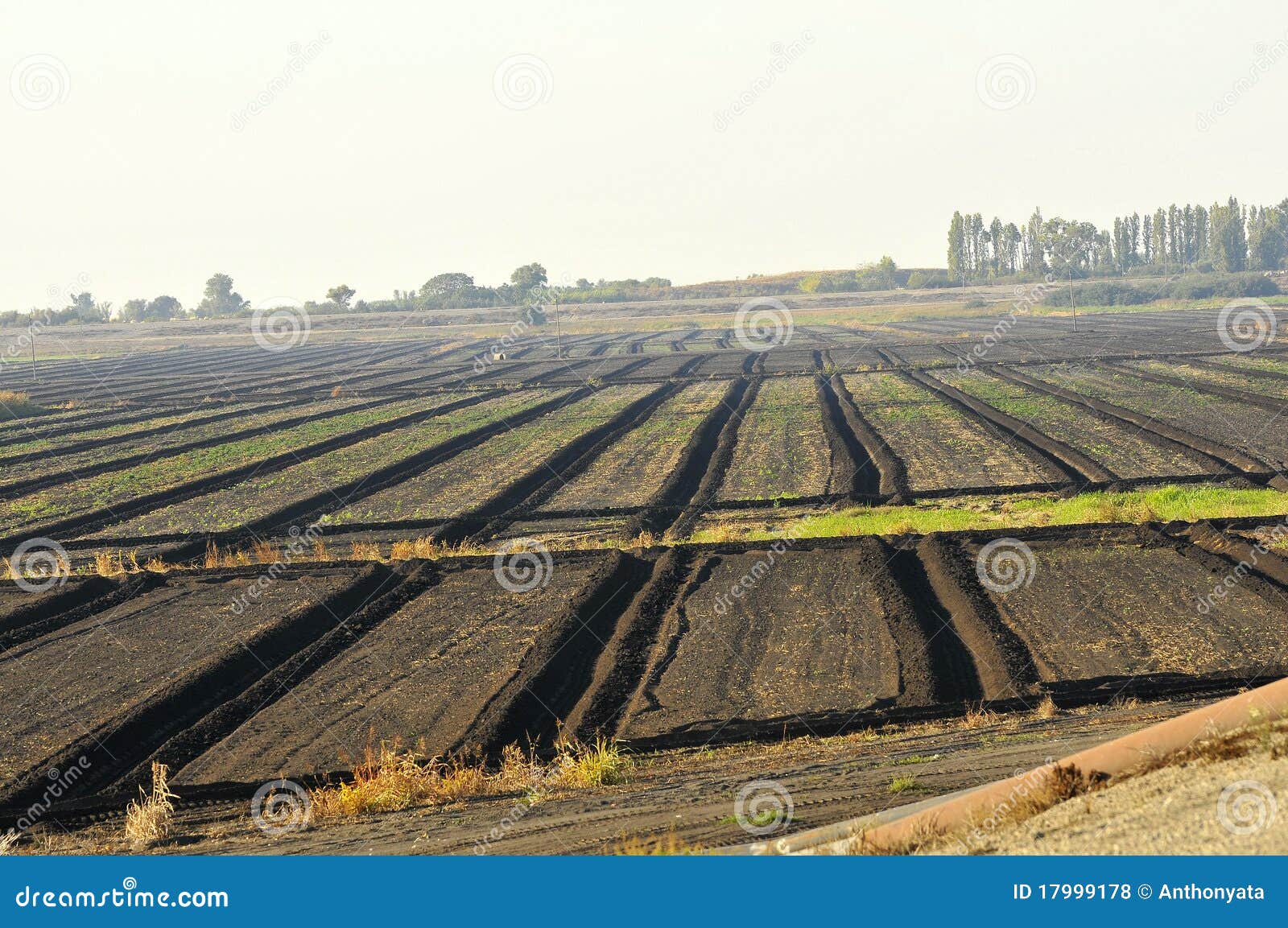 Agricultural Planting Fields Stock Photo - Image of farm, reflection ...