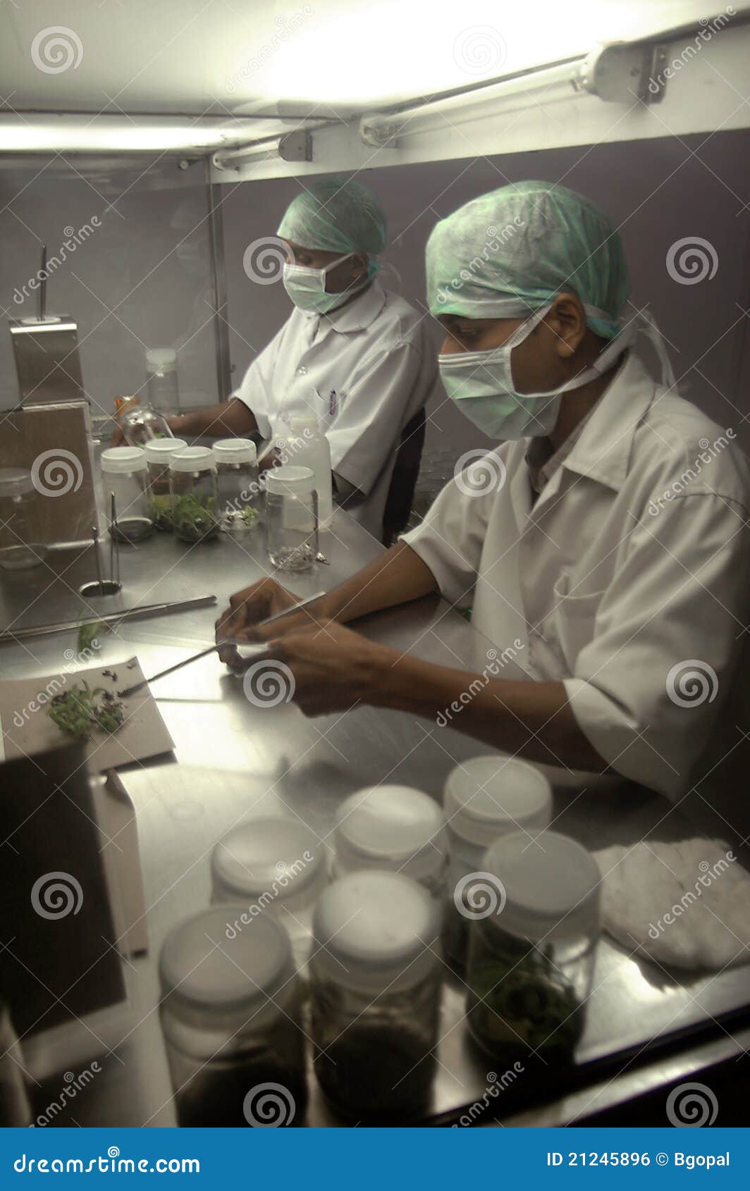 Agricultural research editorial photo. Image of safer - 21245896