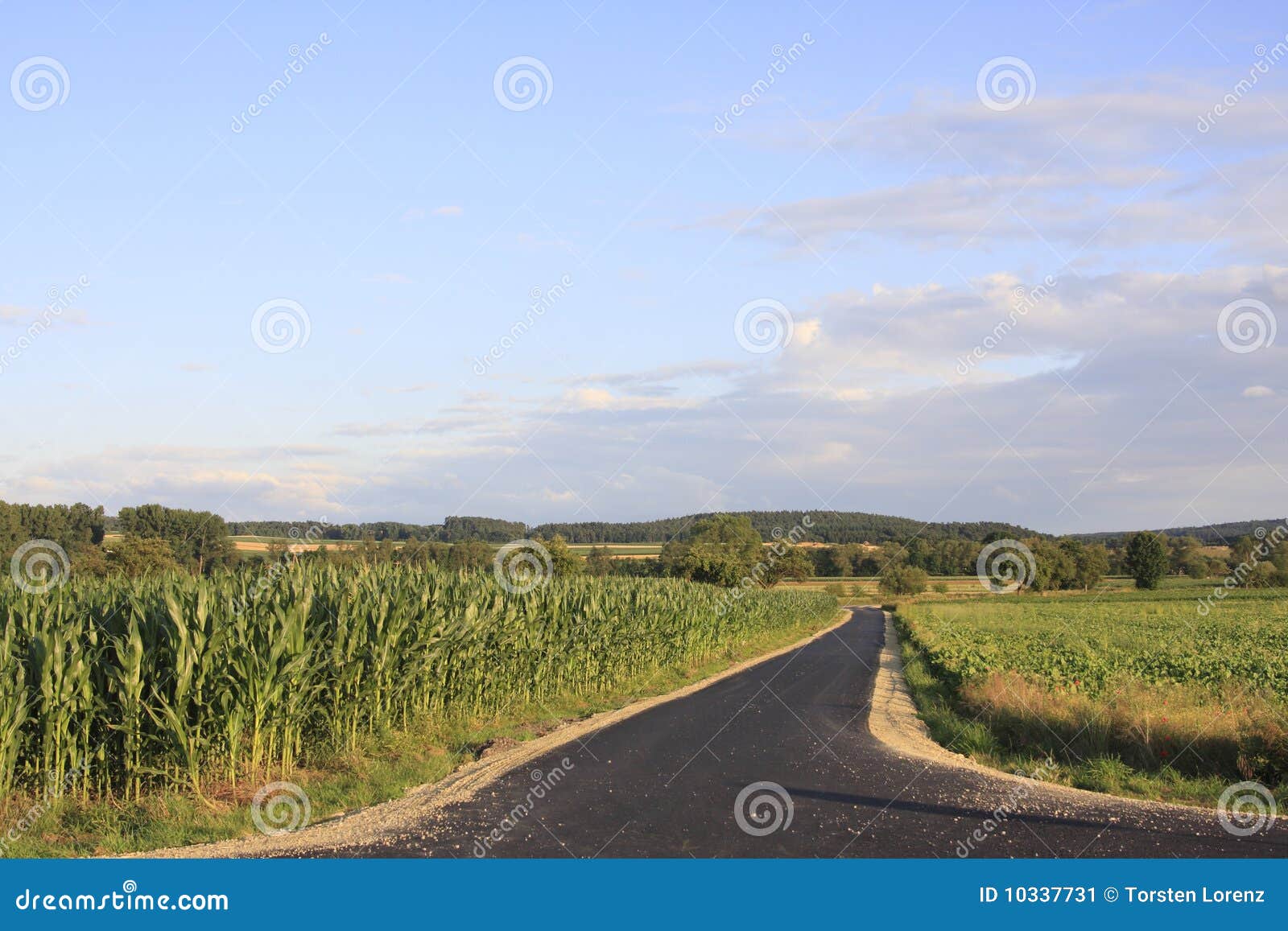 Agricultural road stock image. Image of countryside, agriculture - 10337731