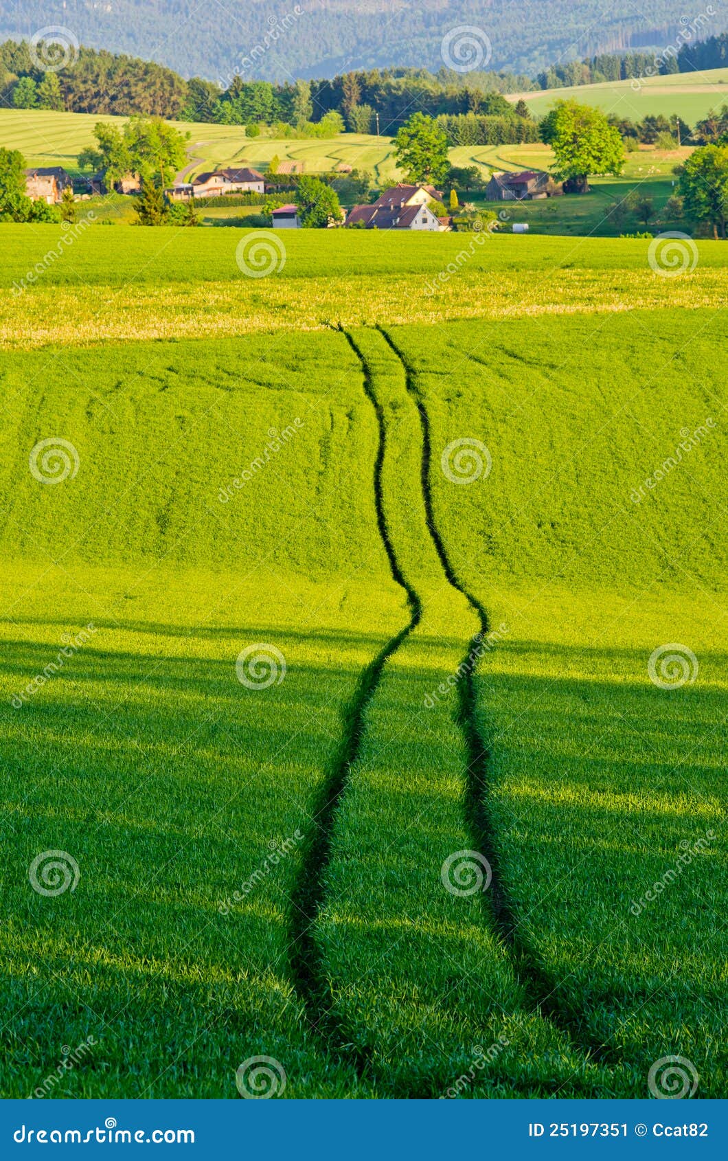 Agricultural Scenery with the Trace Stock Image - Image of meadow ...