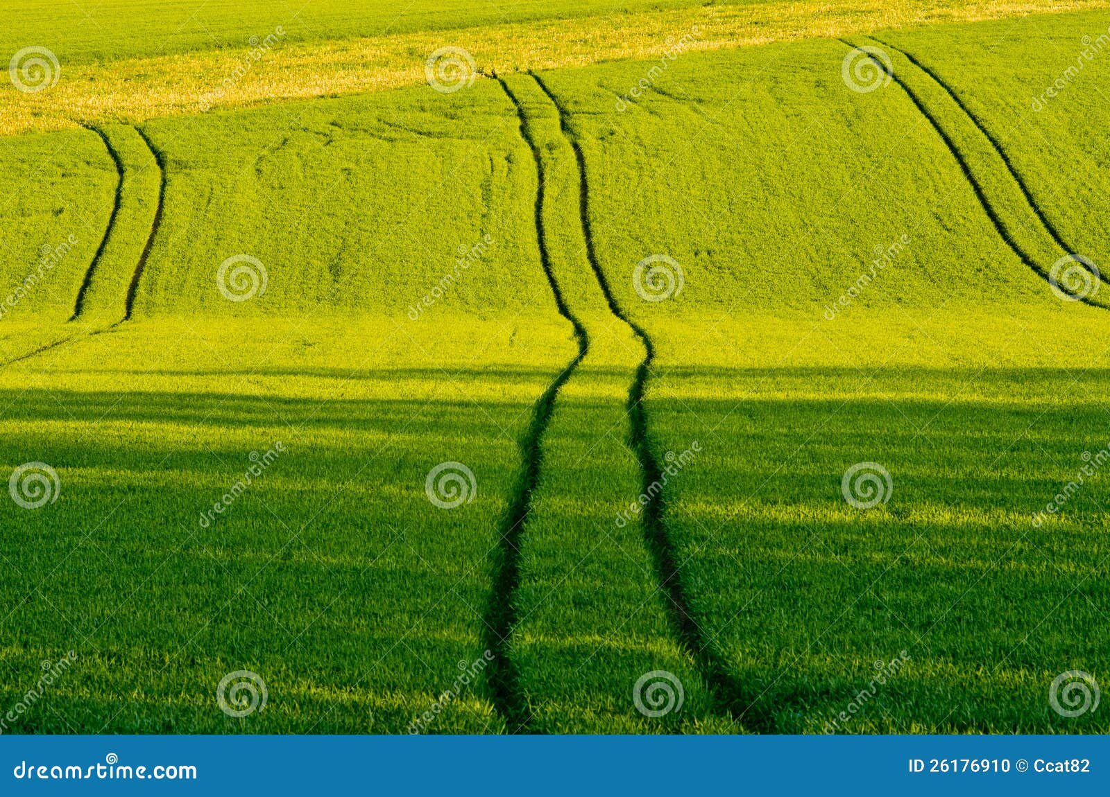 Agricultural Scenery with the Trace Stock Photo - Image of field ...
