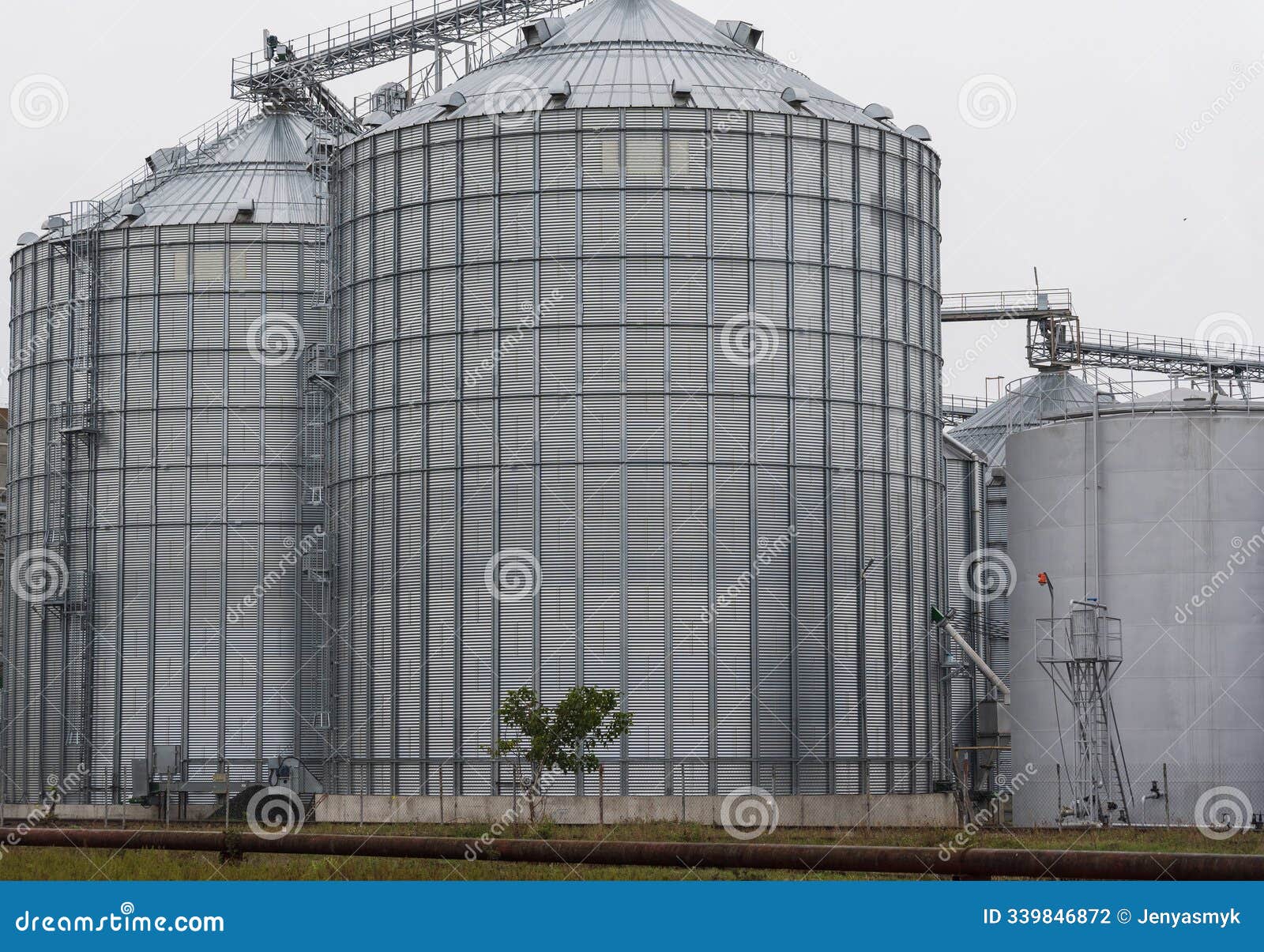 Metal Silos For The Fermentation Of Wine After Pressing The Grapes ...