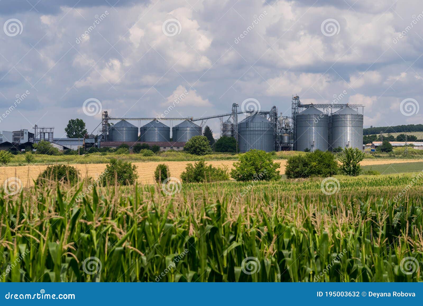 Agricultural Silo. Set of Storage Tanks Stock Photo - Image of ...