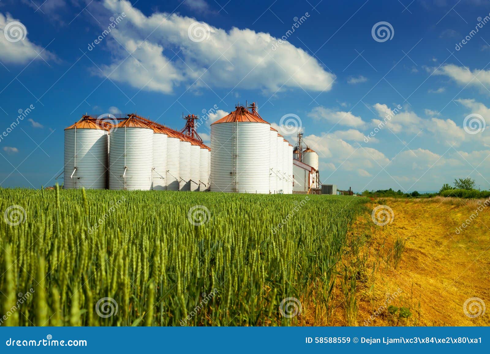 Agricultural Silos in the Fields Stock Image - Image of rural, grain ...