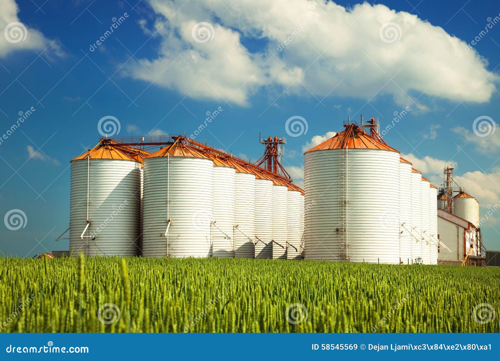 Agricultural Silos Under Blue Sky, In The Fields Stock Photo ...