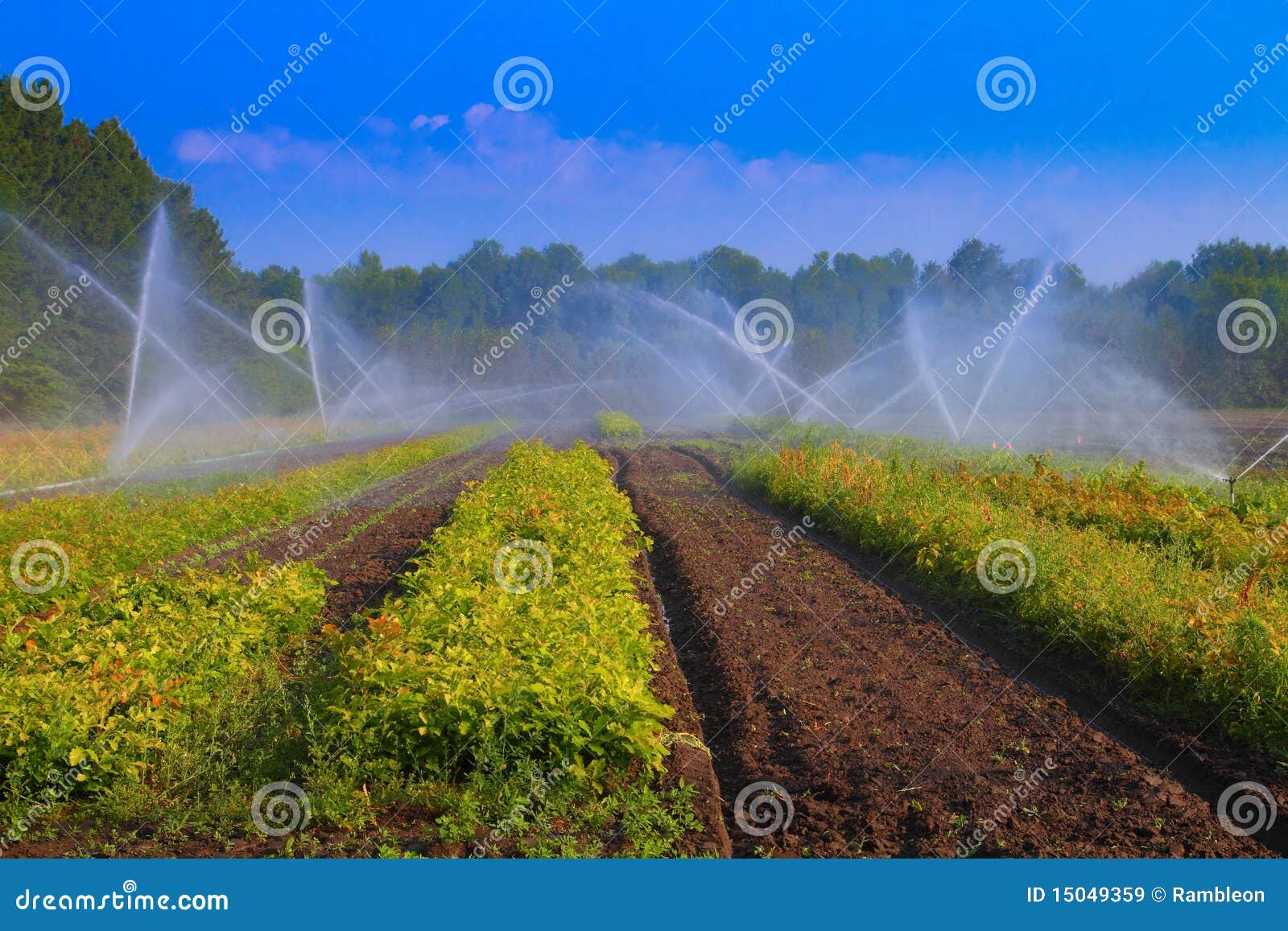 Agricultural sprinkler stock image. Image of outdoor - 15049359