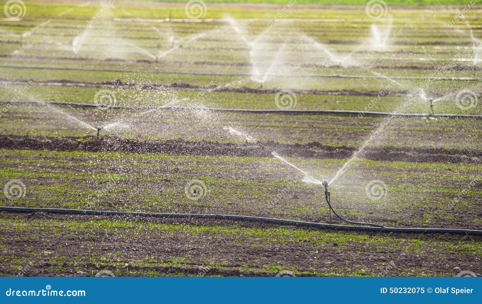 Agricultural sprinklers stock image. Image of plantation - 50232075