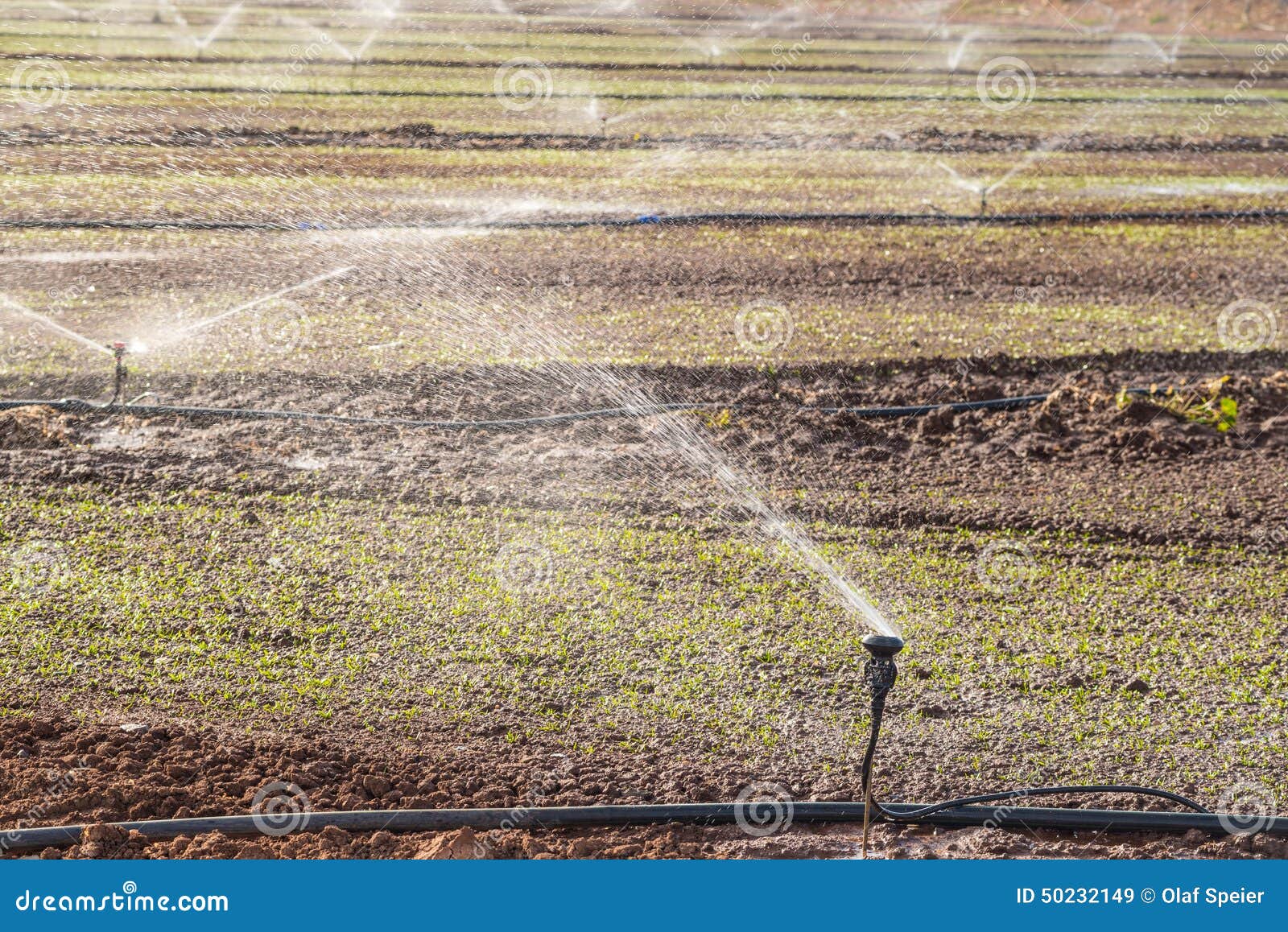 Agricultural sprinklers stock image. Image of industry - 50232149