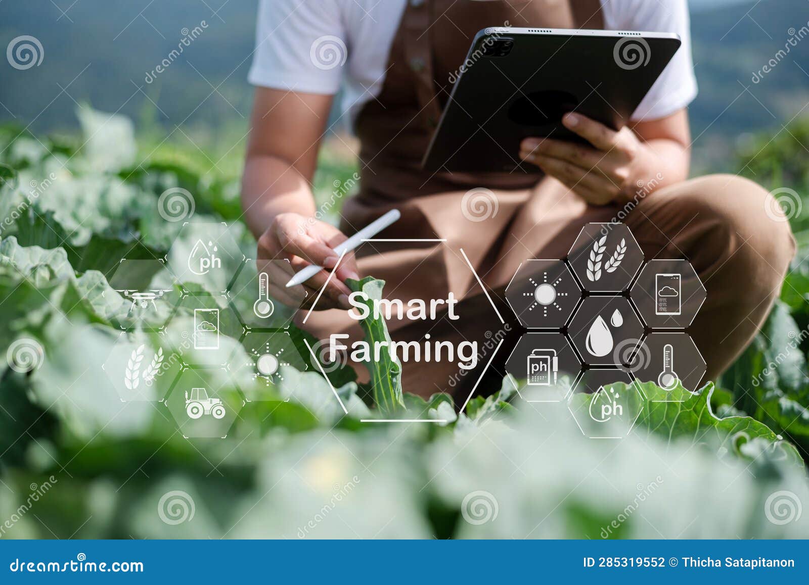 Agricultural Technology Farmer Man Using Tablet Computer Analyzing Data ...