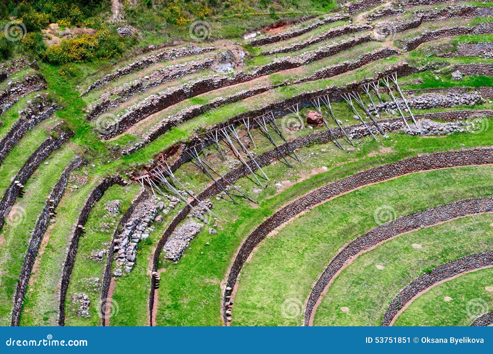 Agricultural Terraces in Moray, Peru Stock Image - Image of crop ...
