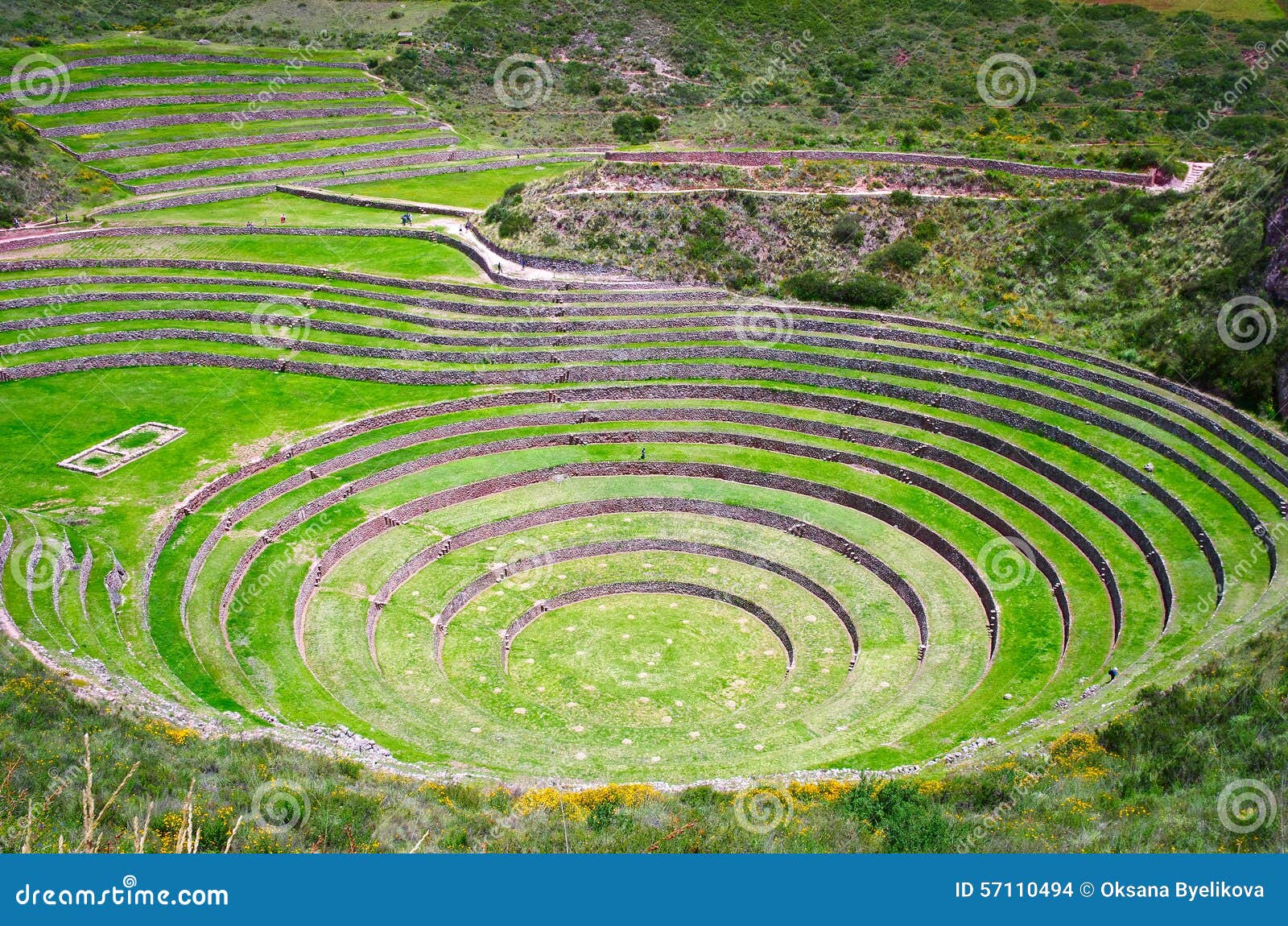 Agricultural Terraces in Moray, Peru Stock Photo - Image of climatic ...