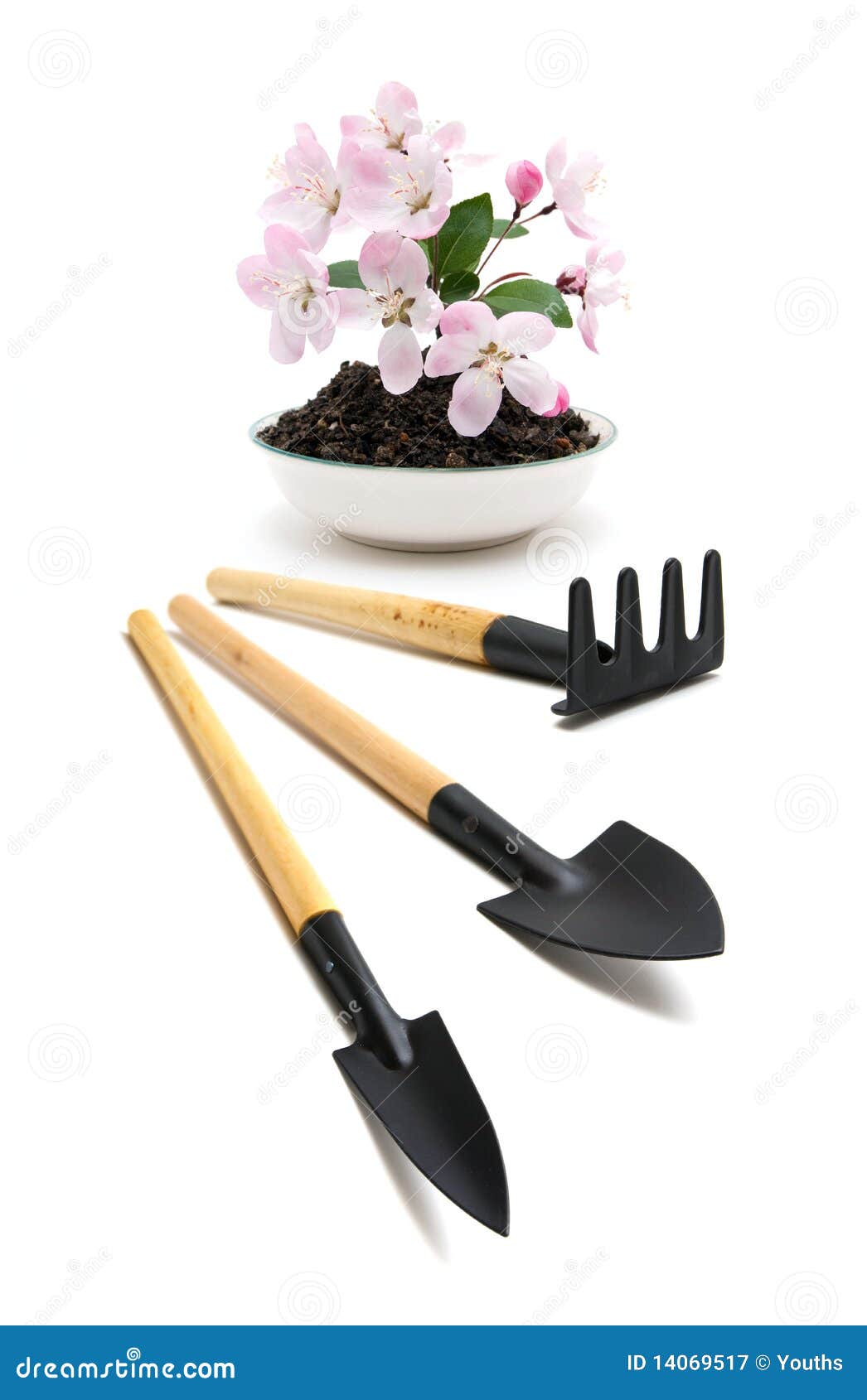 Agricultural Tools and Flower Isolated on White Background Stock Image ...
