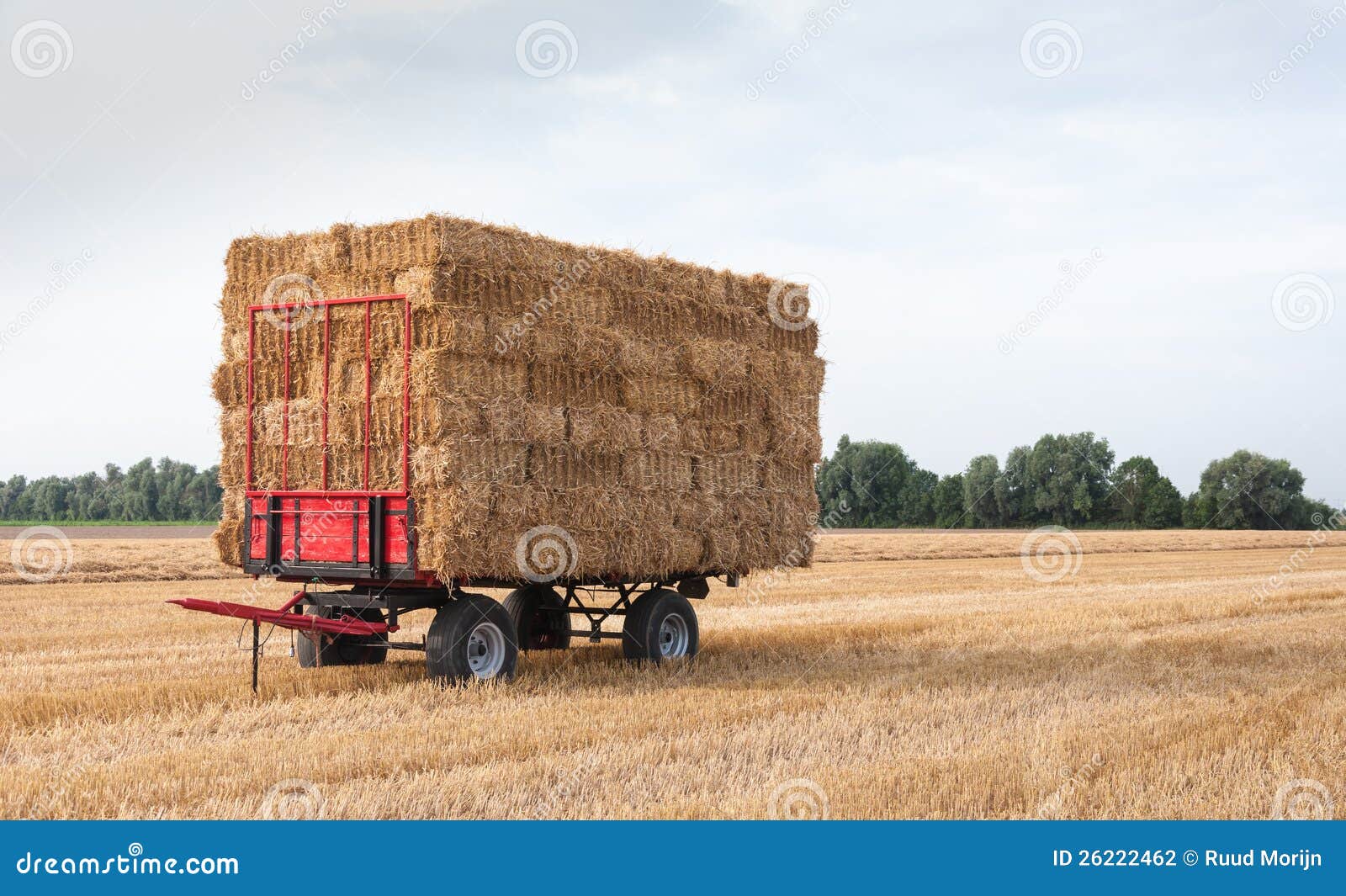 Agricultural Wagon with Straw Packages Stock Photo - Image of cart ...