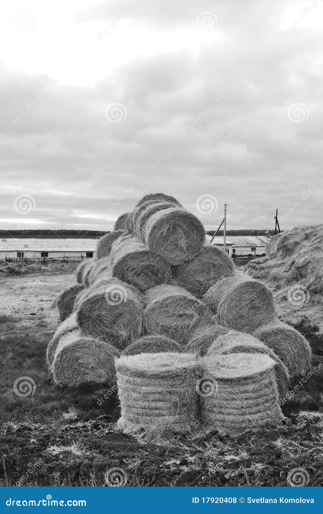 Agricultural Warehouse, Close-up, Black and White Stock Photo - Image ...