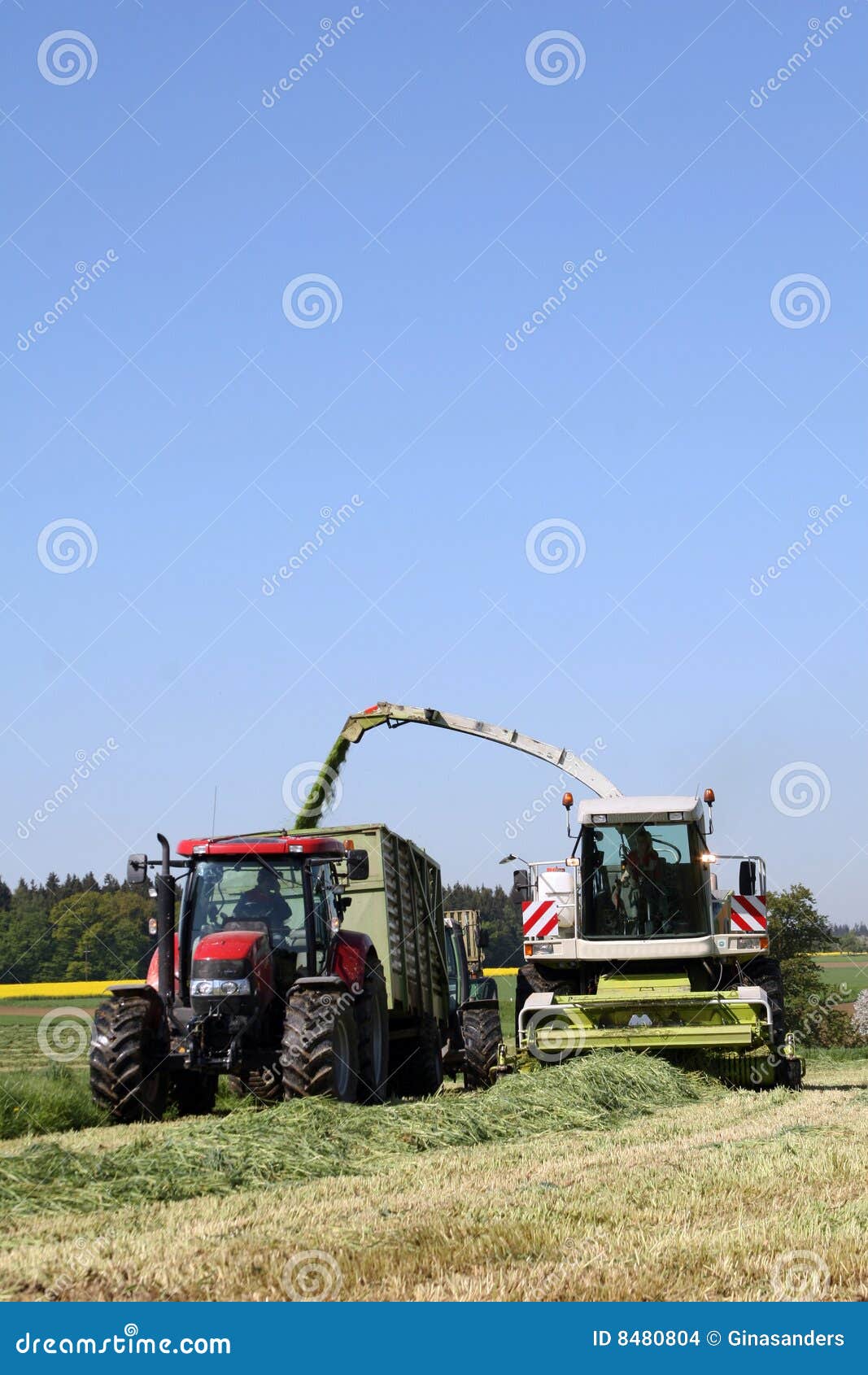 Agricultural Work with a Chopper Stock Photo - Image of person ...