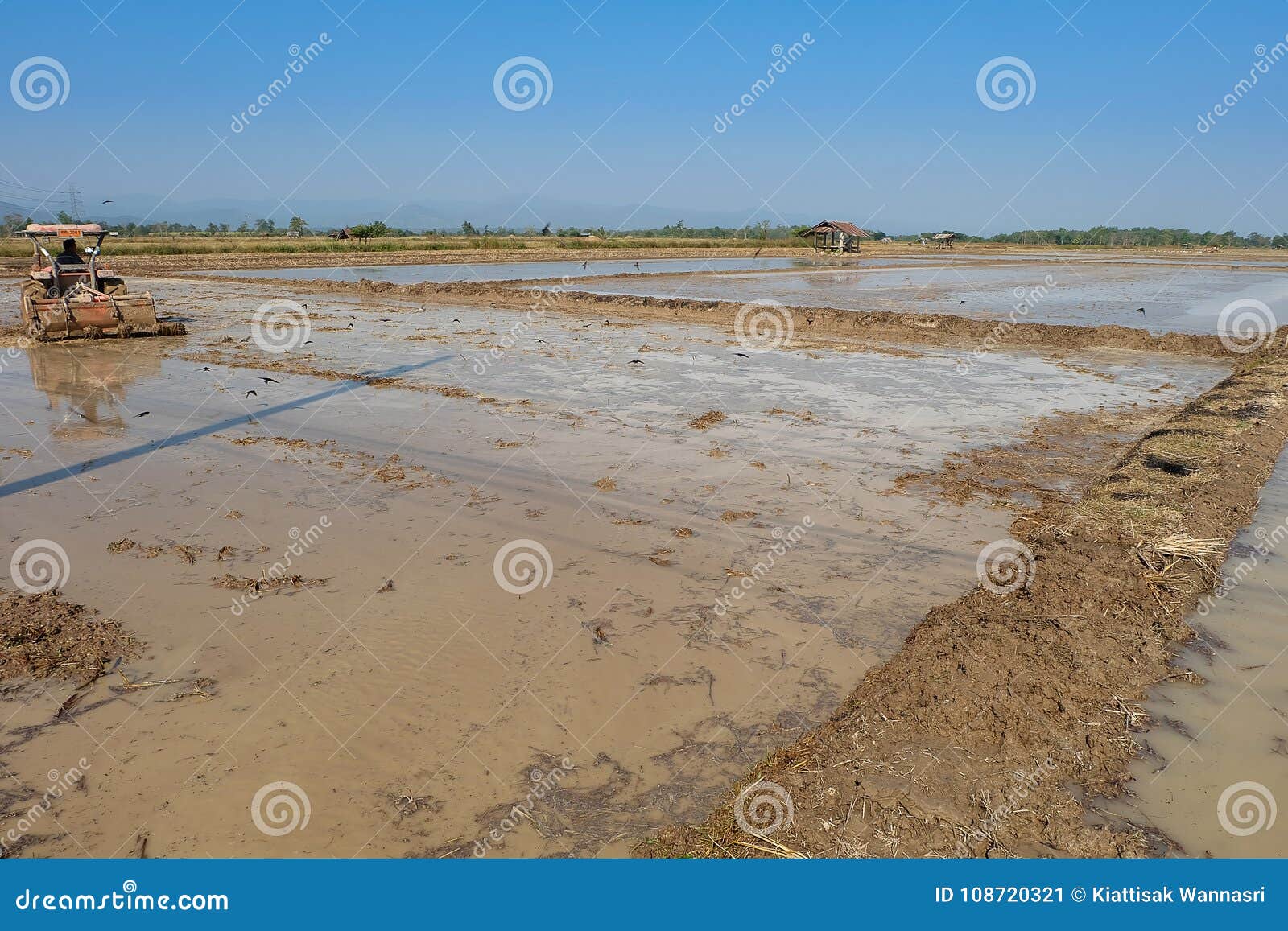 Agricultural Work Plowing Land on a Powerful Tractor Stock Image ...