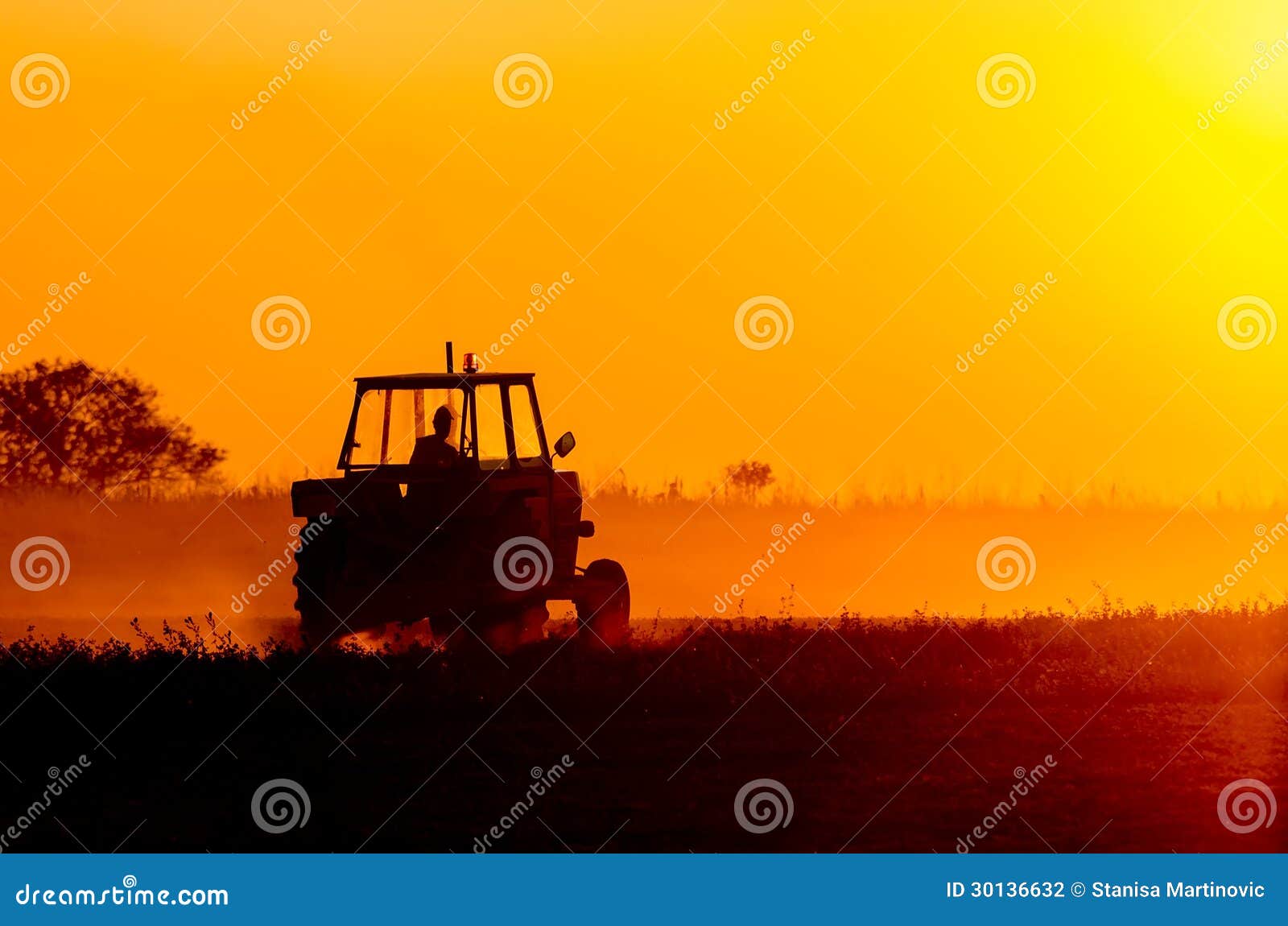Agriculture stock photo. Image of field, farming, agricultural - 30136632