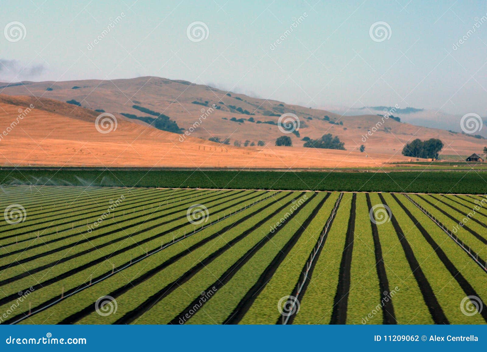 Agriculture stock photo. Image of west, rural, crops - 11209062