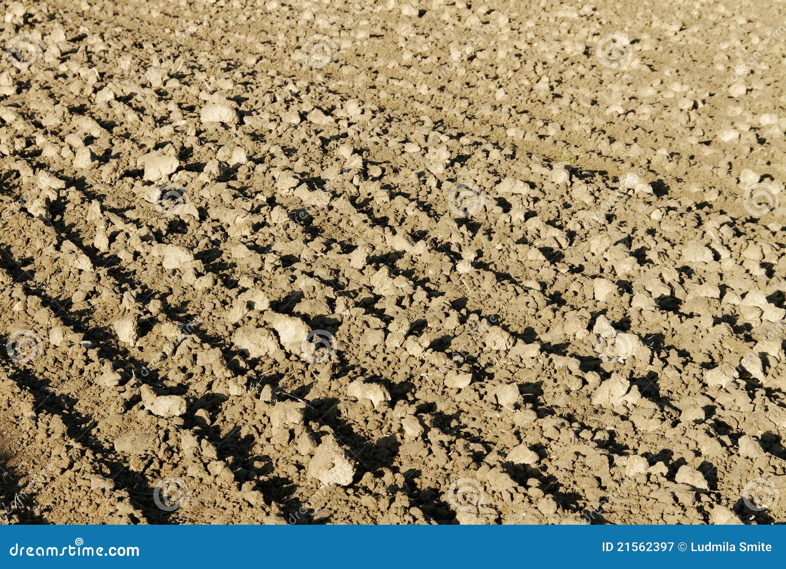 Agriculture. stock image. Image of earth, dirt, land - 21562397