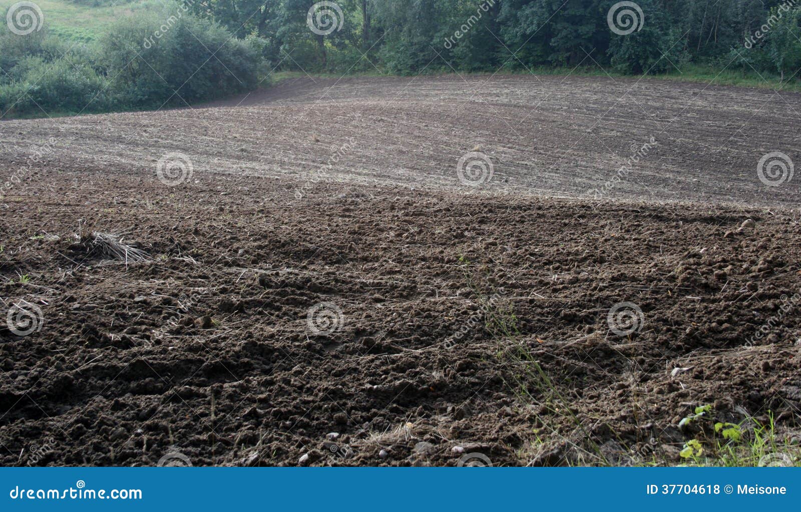 Agriculture stock photo. Image of crops, arable, sand - 37704618