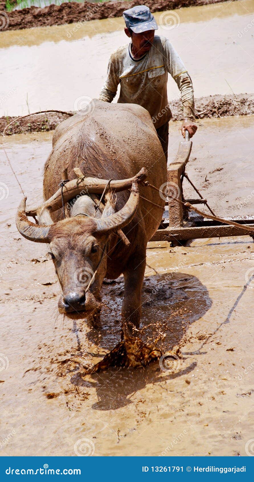 Agriculture activity editorial photo. Image of plowing - 13261791