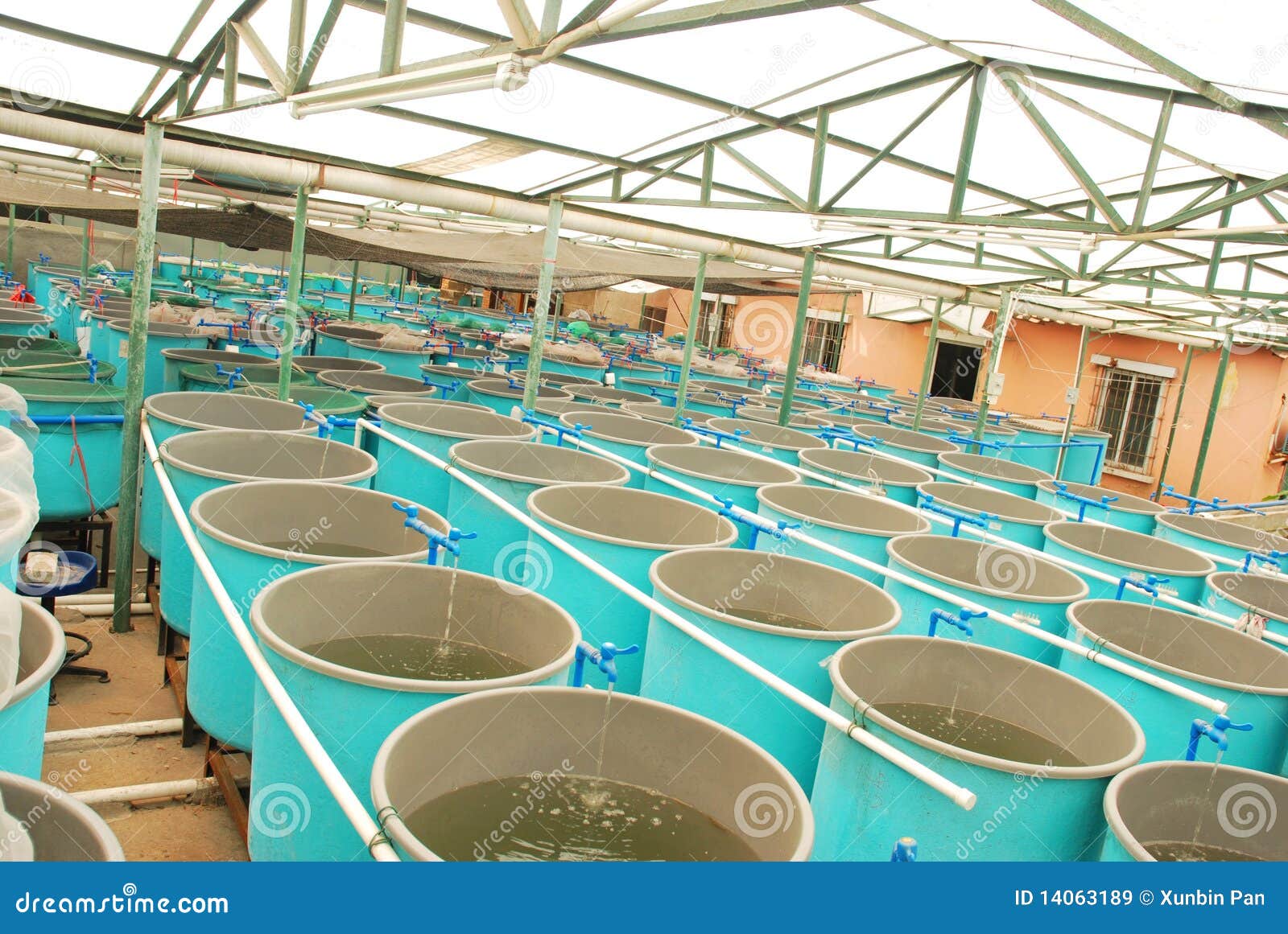 Agriculture Aquaculture Farm Stock Image - Image of farming, fisheries ...