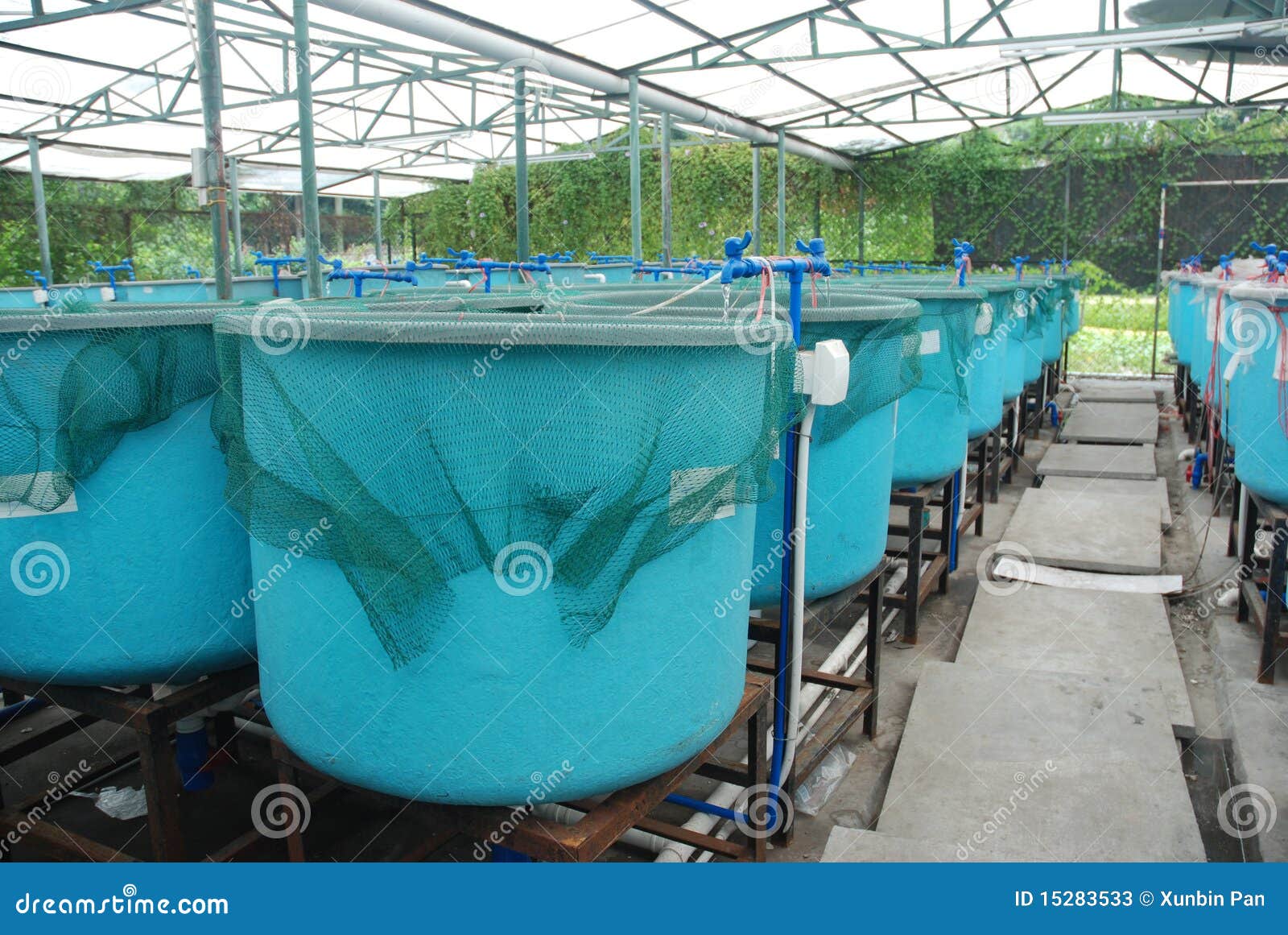 Agriculture Aquaculture Farm Stock Image - Image of cultivate ...
