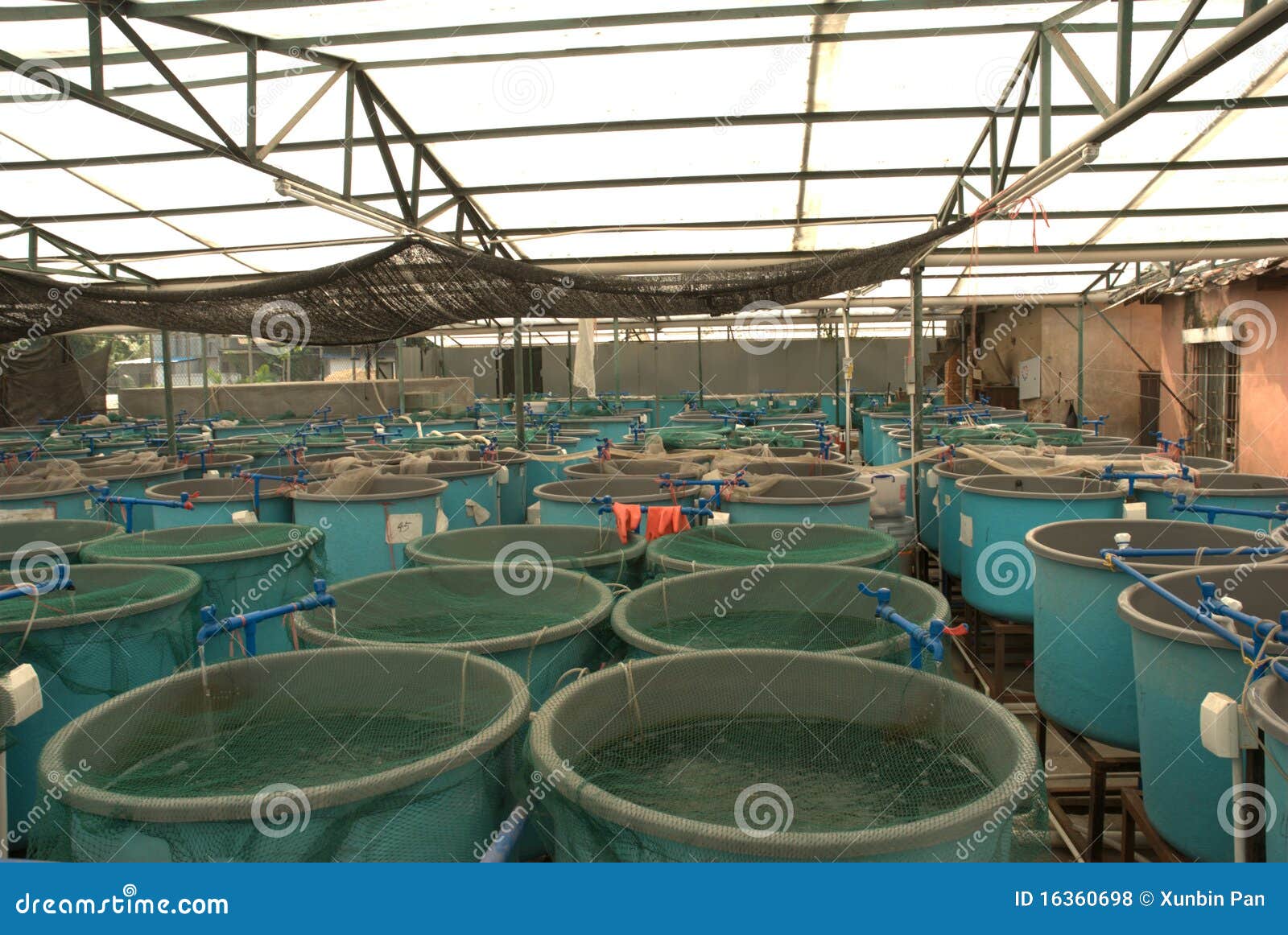 Agriculture Aquaculture Farm Stock Photography | CartoonDealer.com ...