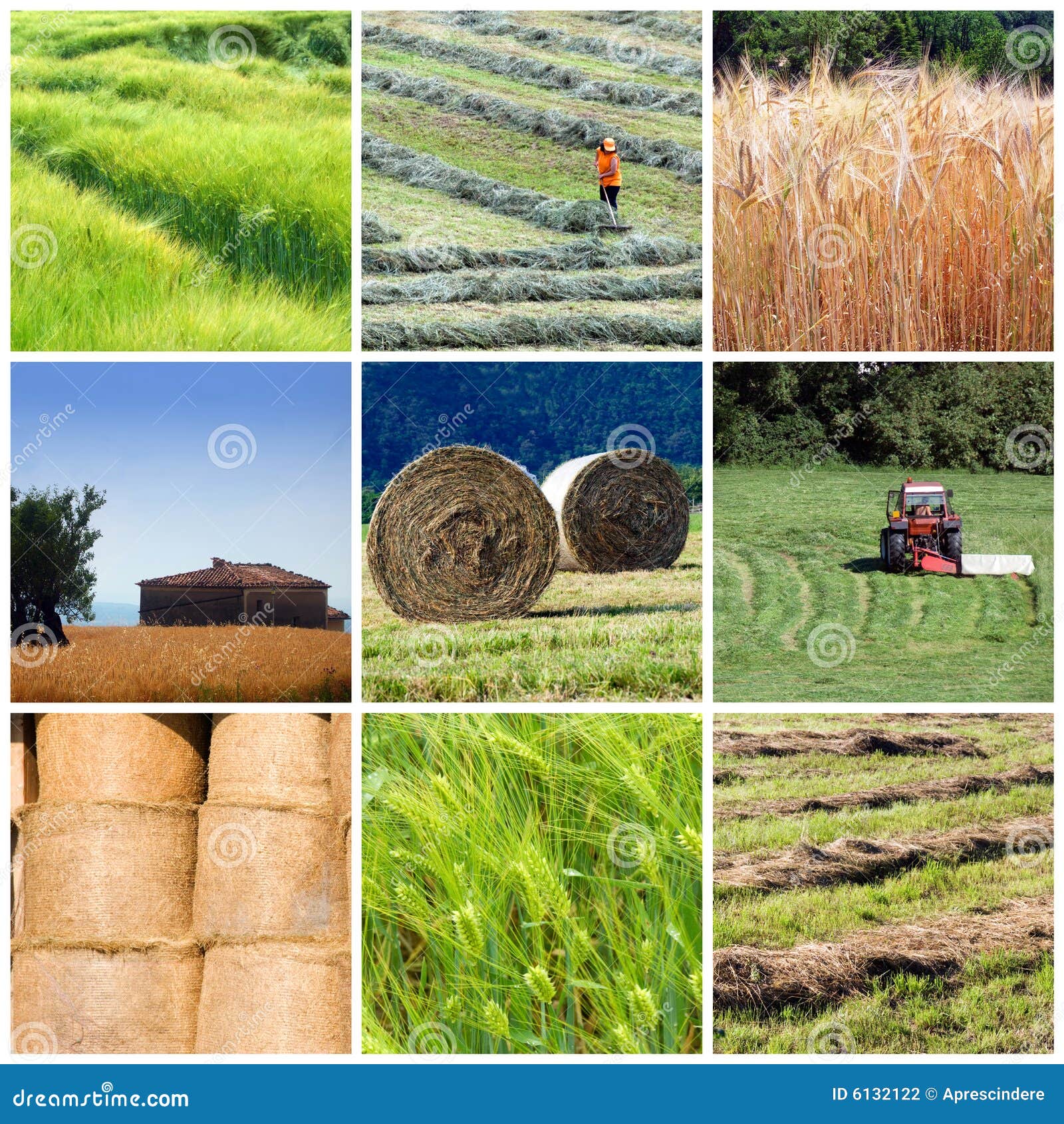 Agriculture collage stock photo. Image of farmer, earth - 6132122