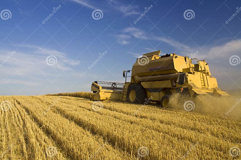Agriculture - Combine stock photo. Image of engine, harvester - 5923066