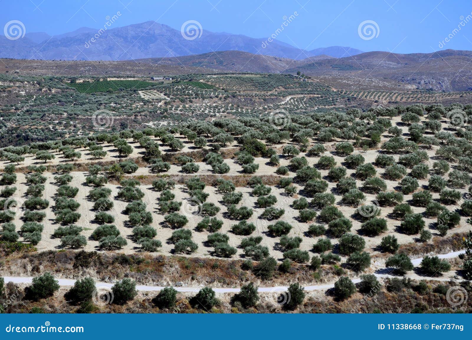 Agriculture in Crete, Greece. Stock Photo - Image of country, crete ...